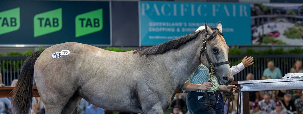 A million reasons why Rosehill uncertainty can’t diminish Brian ...