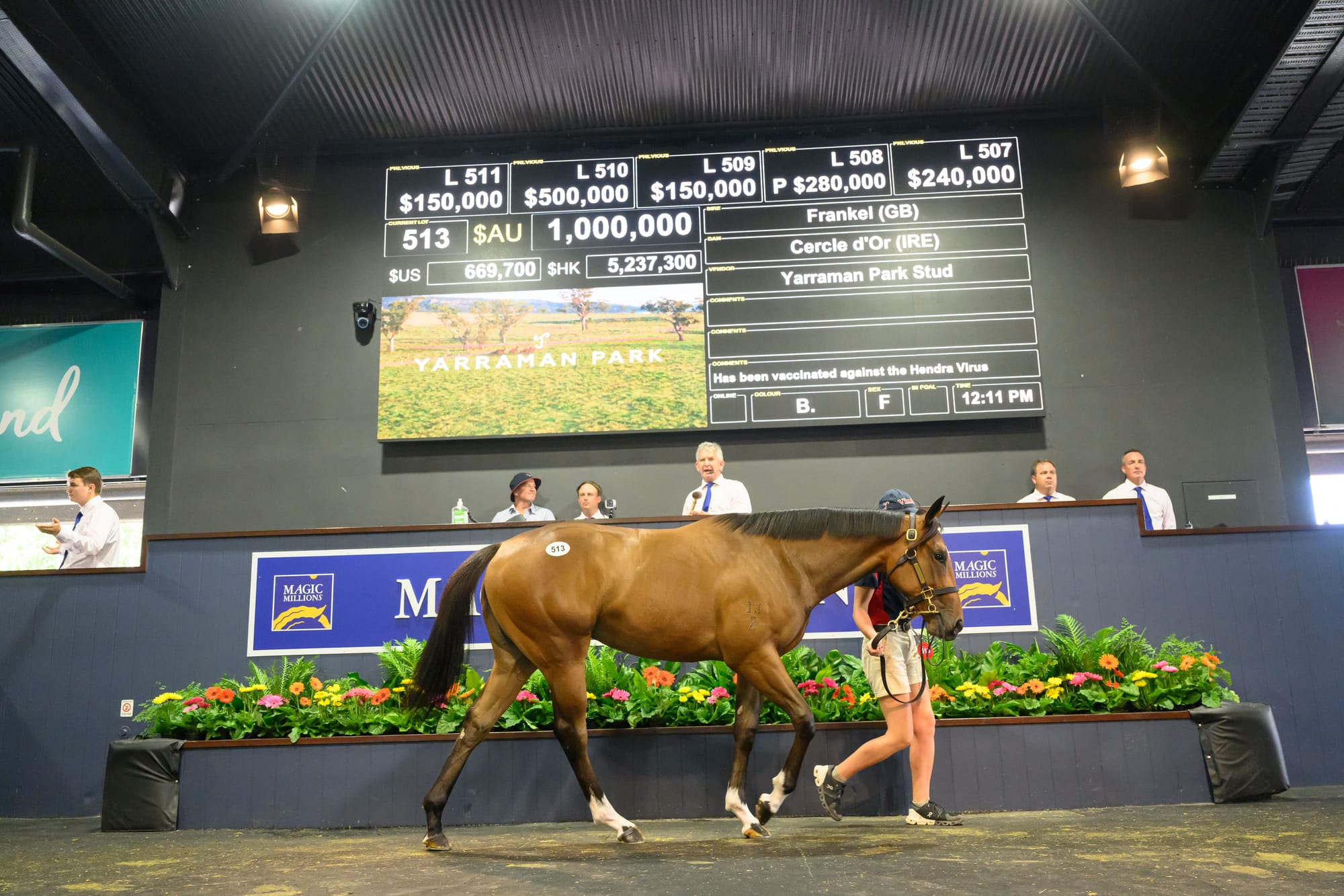 What price a Frankel? Star factor lures Waller and Waterhouse back for ...