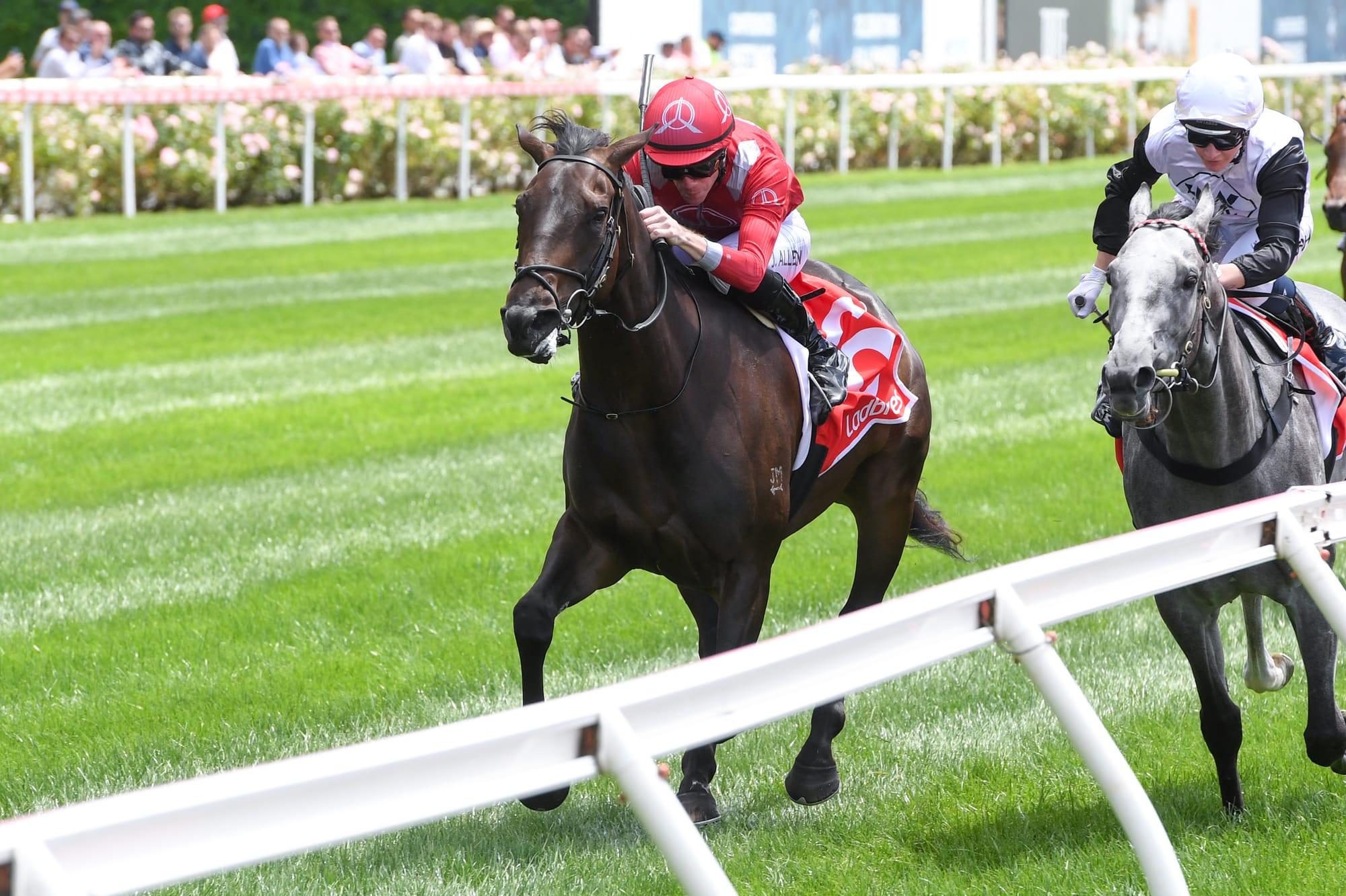 Tracked - The Saturday Racing Review - June 8 – The Straight