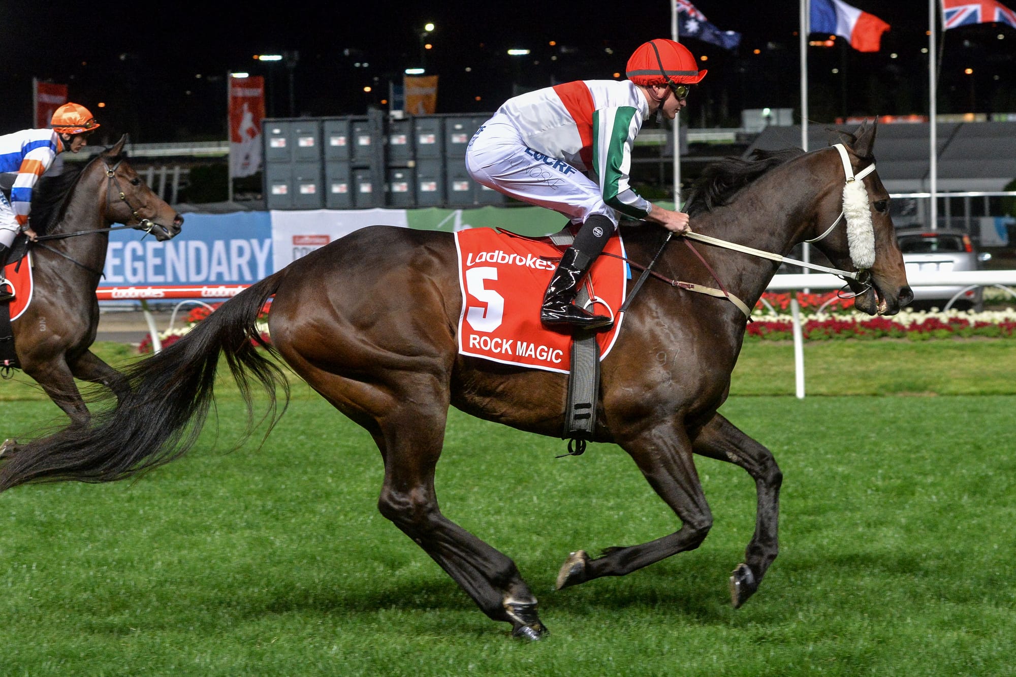 A tried and proven approach: How WA’s Gangemi stable got ahead of the ...