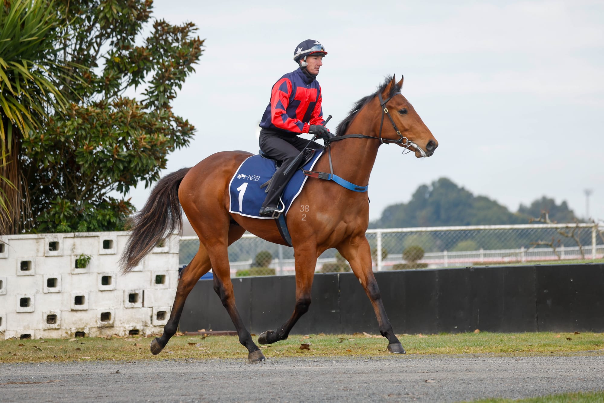 New Zealand’s TAB Racing Club off and running – The Straight