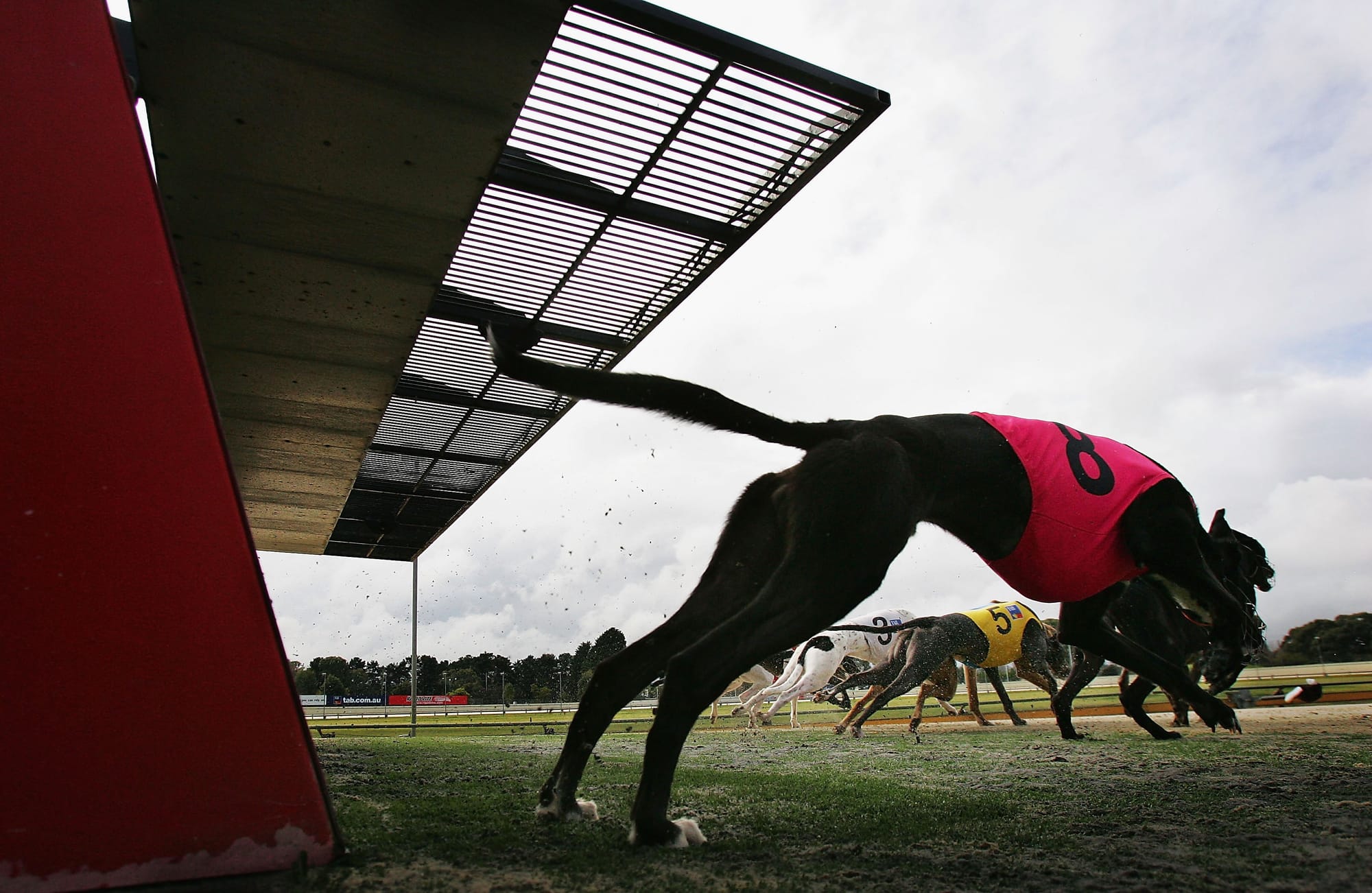 GRV’s MBL measures designed to re-invigorate wagering – The Straight