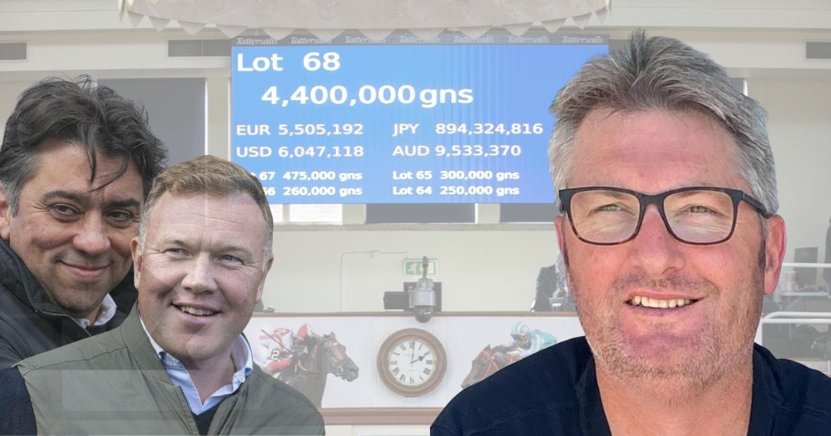 Rowe on Monday: Elliott on Amo's Tatts spree, international Pattern ...