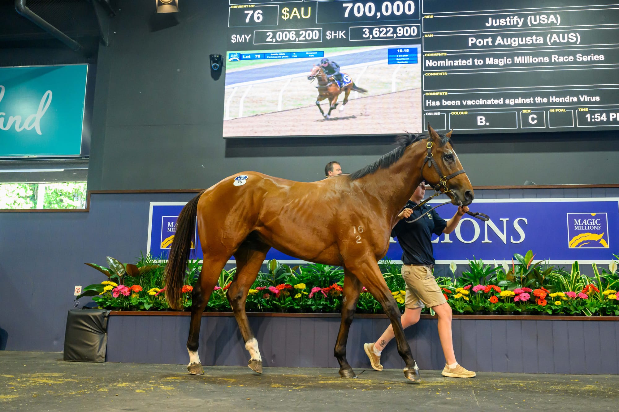 A tale of two owners as Justify youngsters steal show at Magic Millions – The Straight