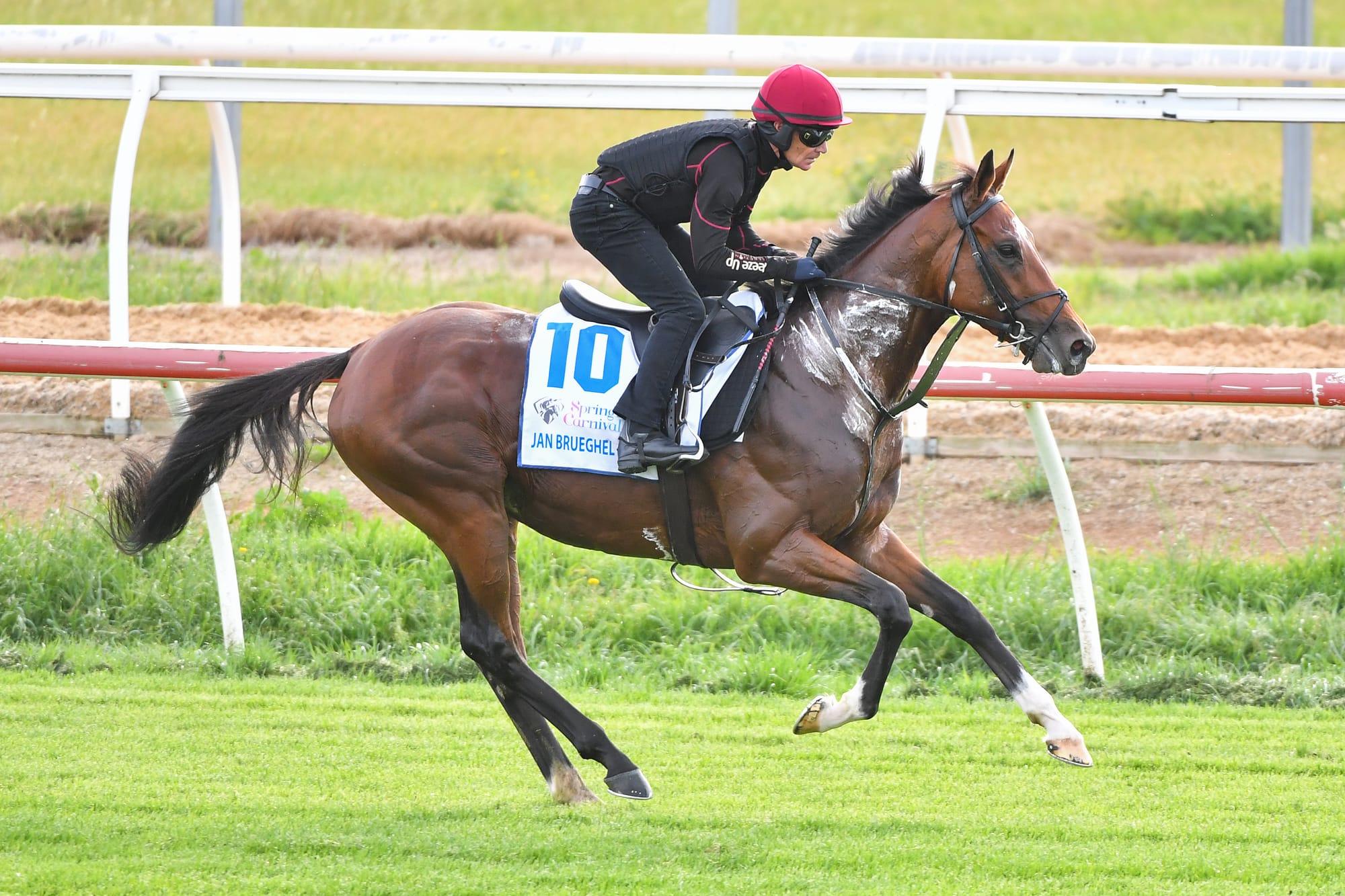'Unsuitable to compete' - Aidan O’Brien's Cup curse rolls on as leading ...