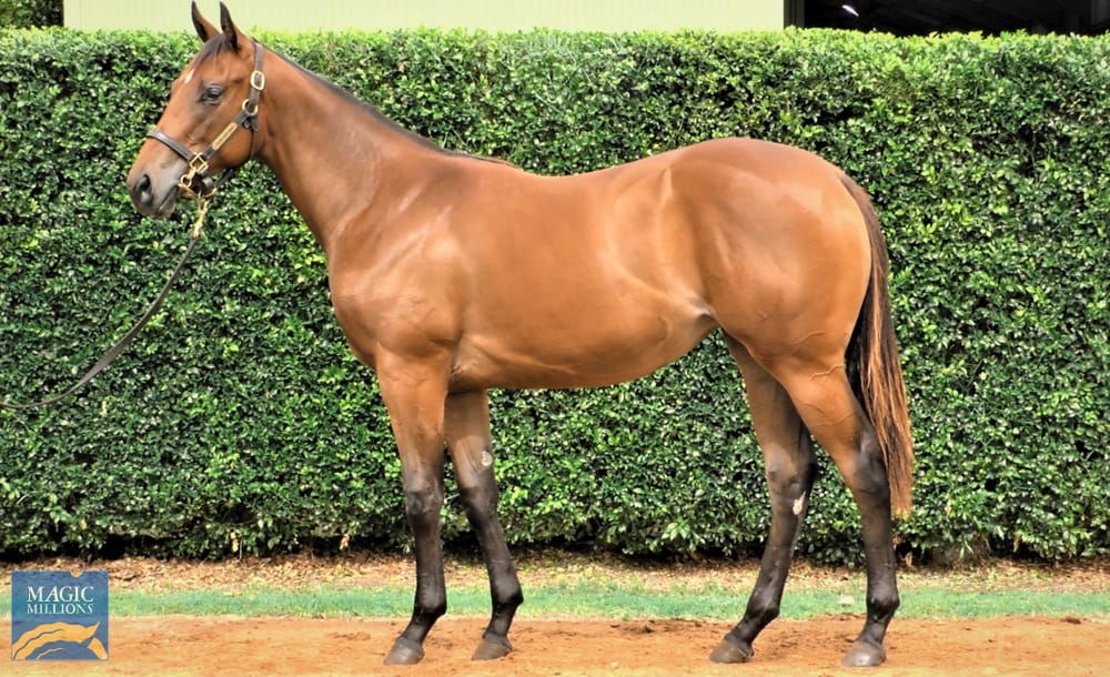 Rowe On Monday - A Mongolian foray, a Perth success for Foster and the ...