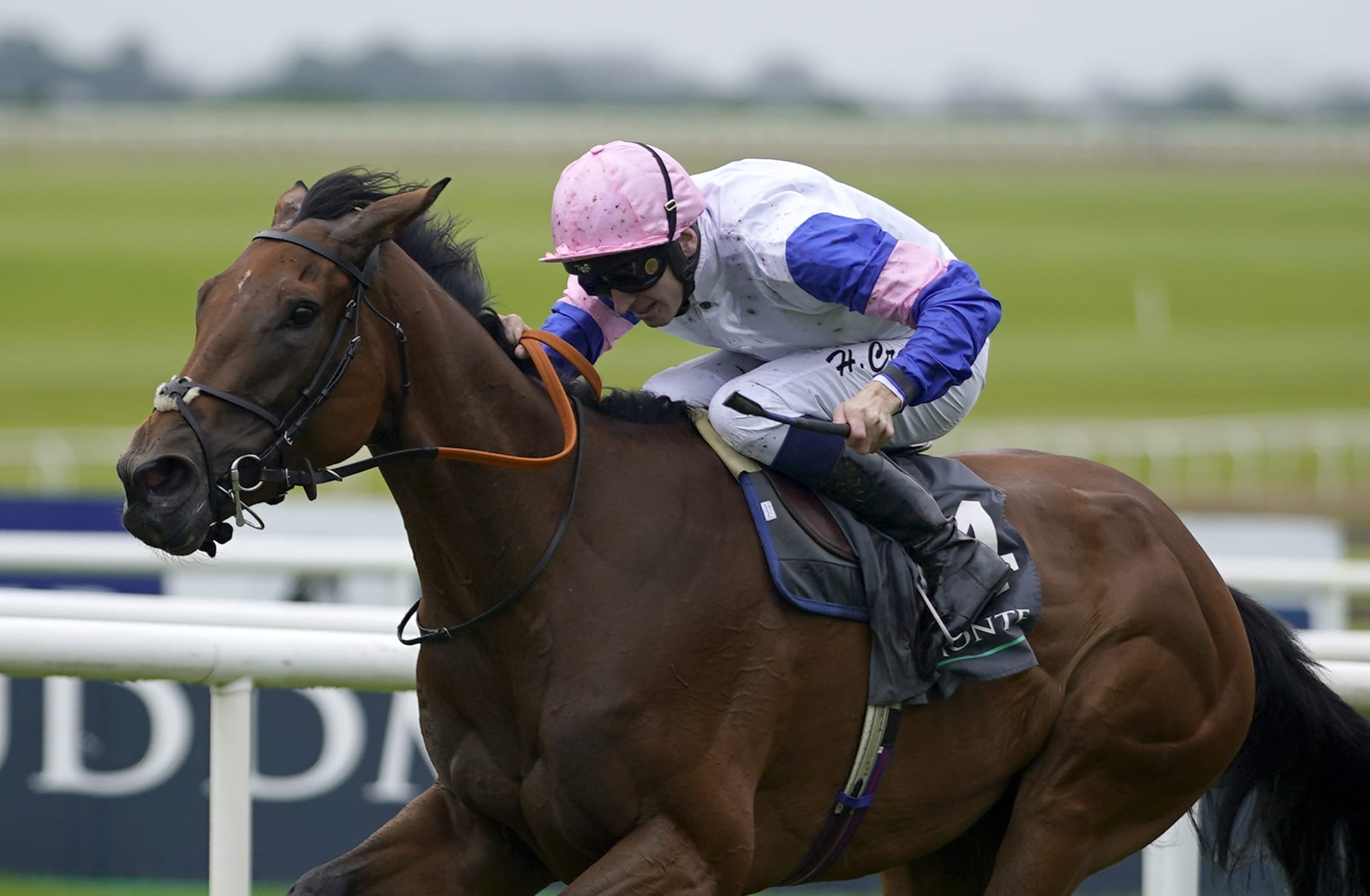 Records smashed at Tatts as Amo Racing snaps up Irish Oaks winner for ...
