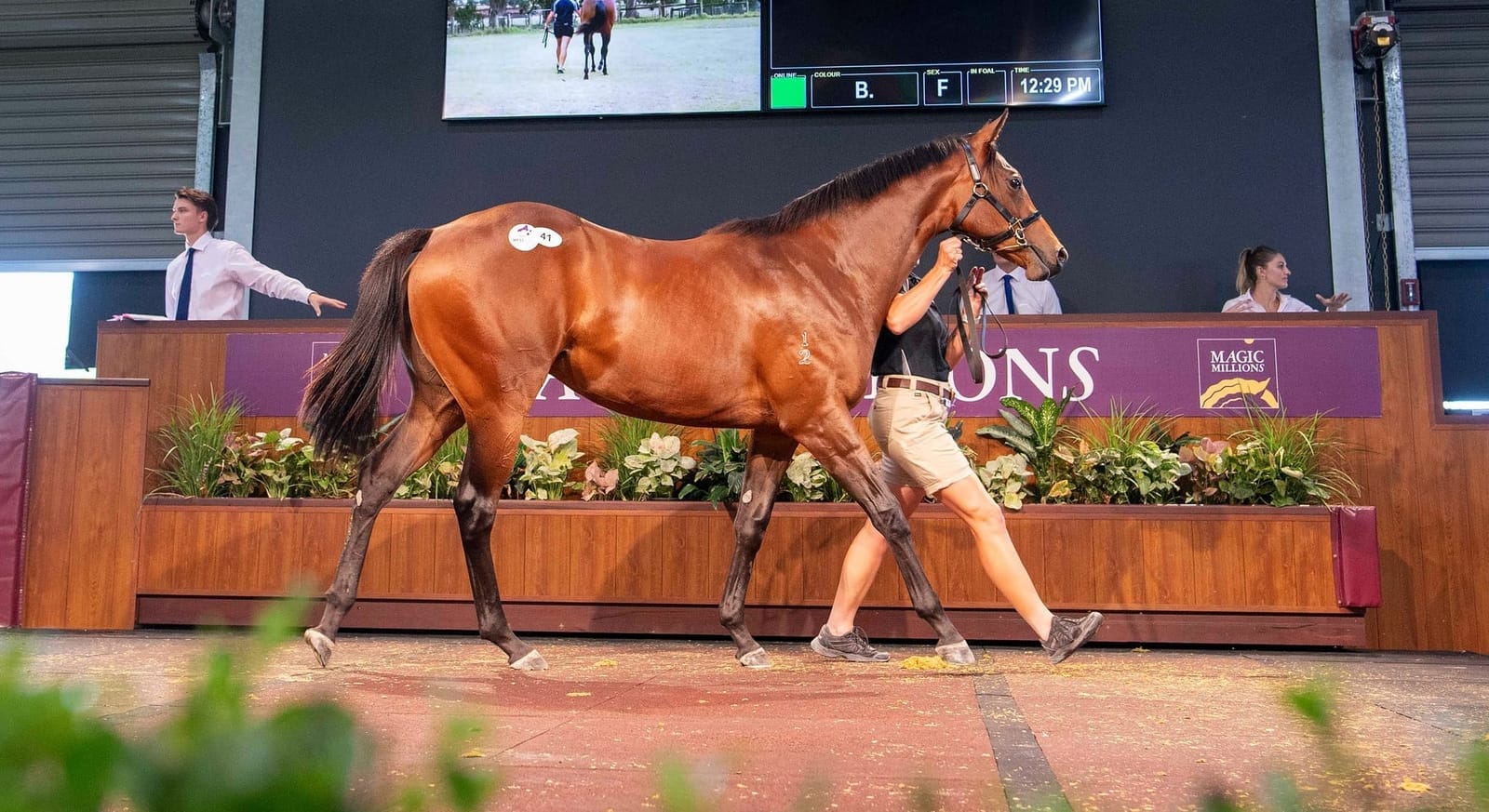 Local talent leads the way in select Magic Millions Perth catalogue ...