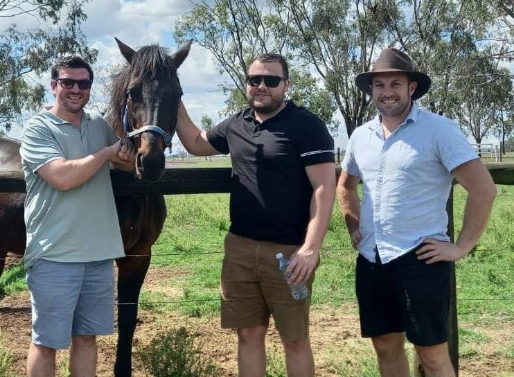 Foundation set in harness racing, Brick takes over three codes of ...