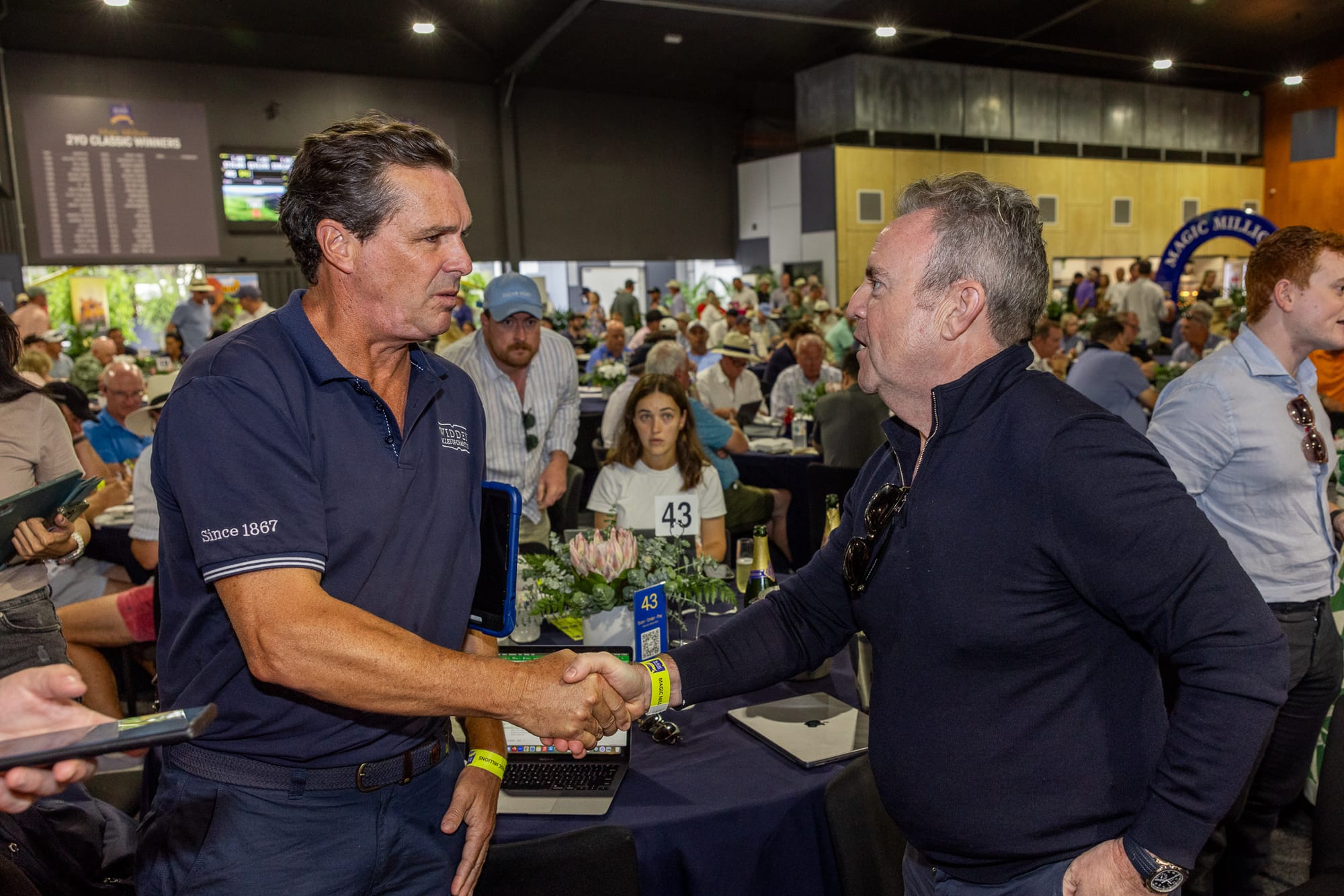 ‘It’ll be a really thorough process’ - global search for Thoroughbred ...
