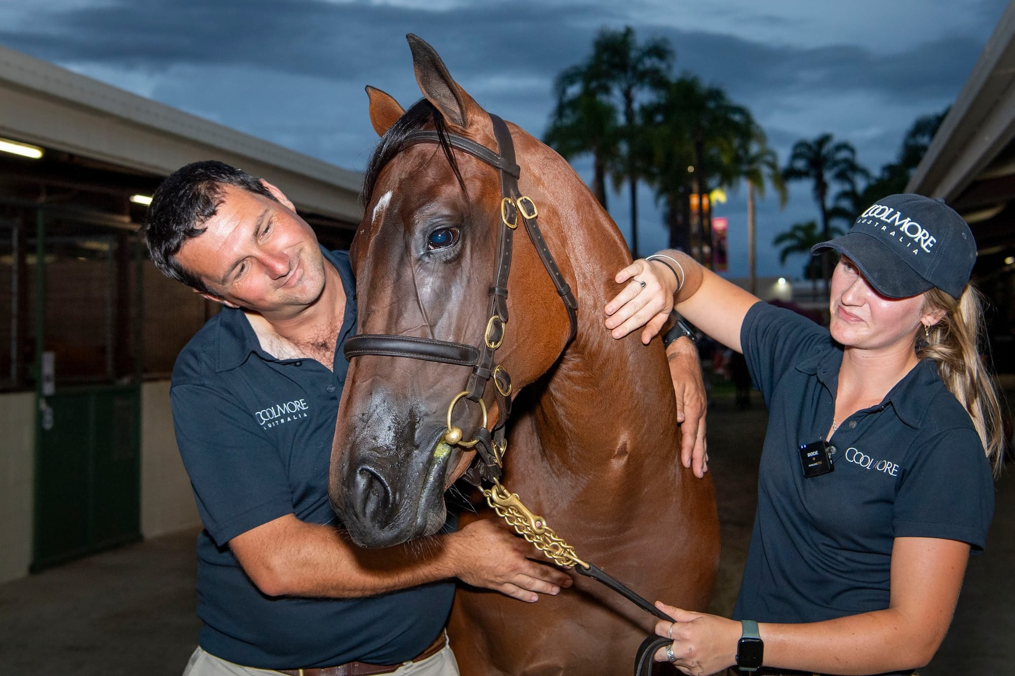Magic Millions sales entries open as March format change confirmed ...