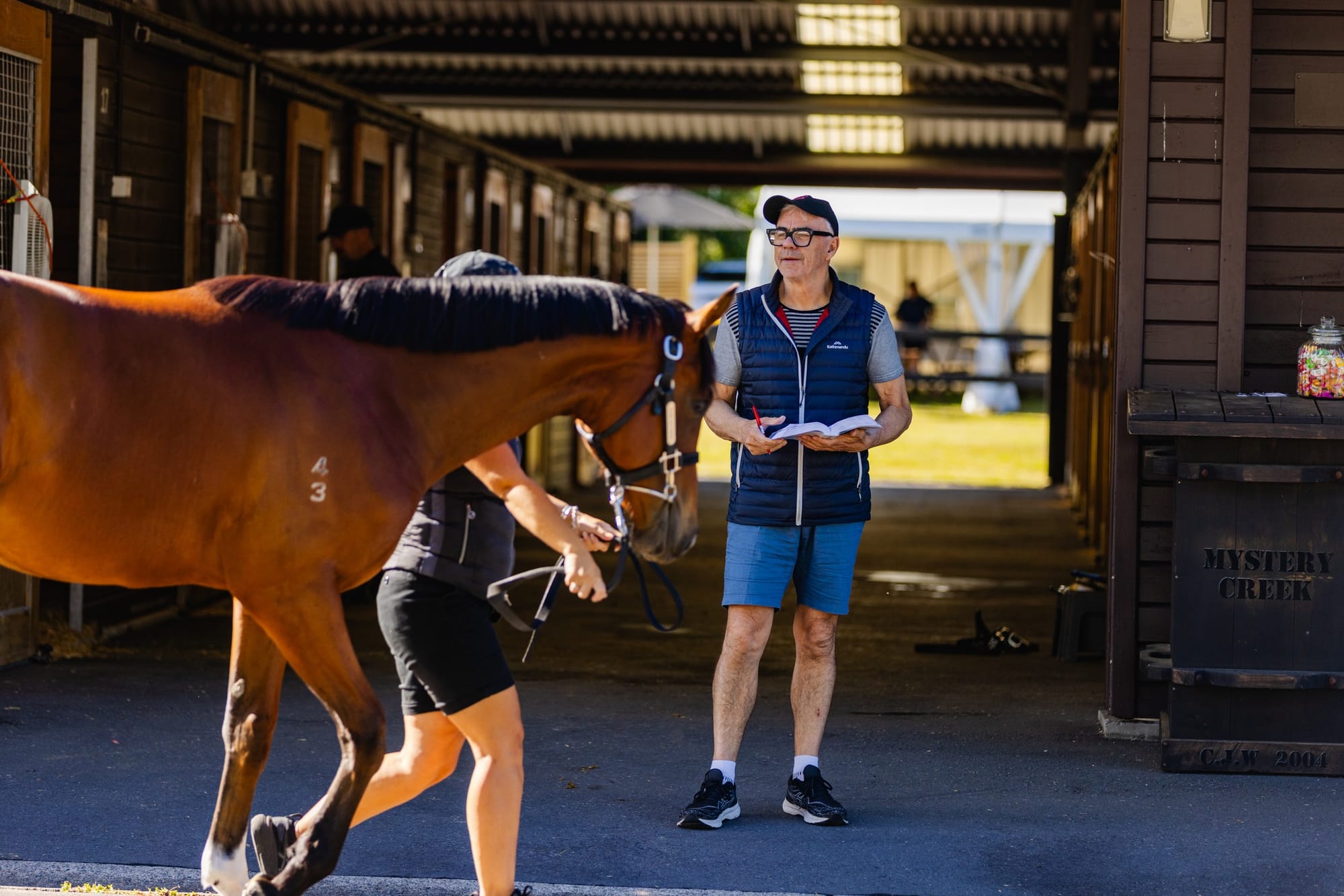 Straight Talk Podcast - Karaka preview with Mark Chitty plus City Of ...