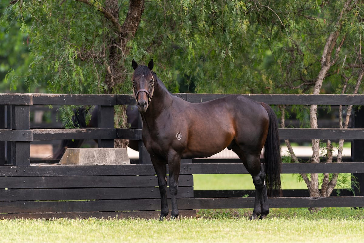 Run The Numbers - The question of Lonhro’s legacy – The Straight