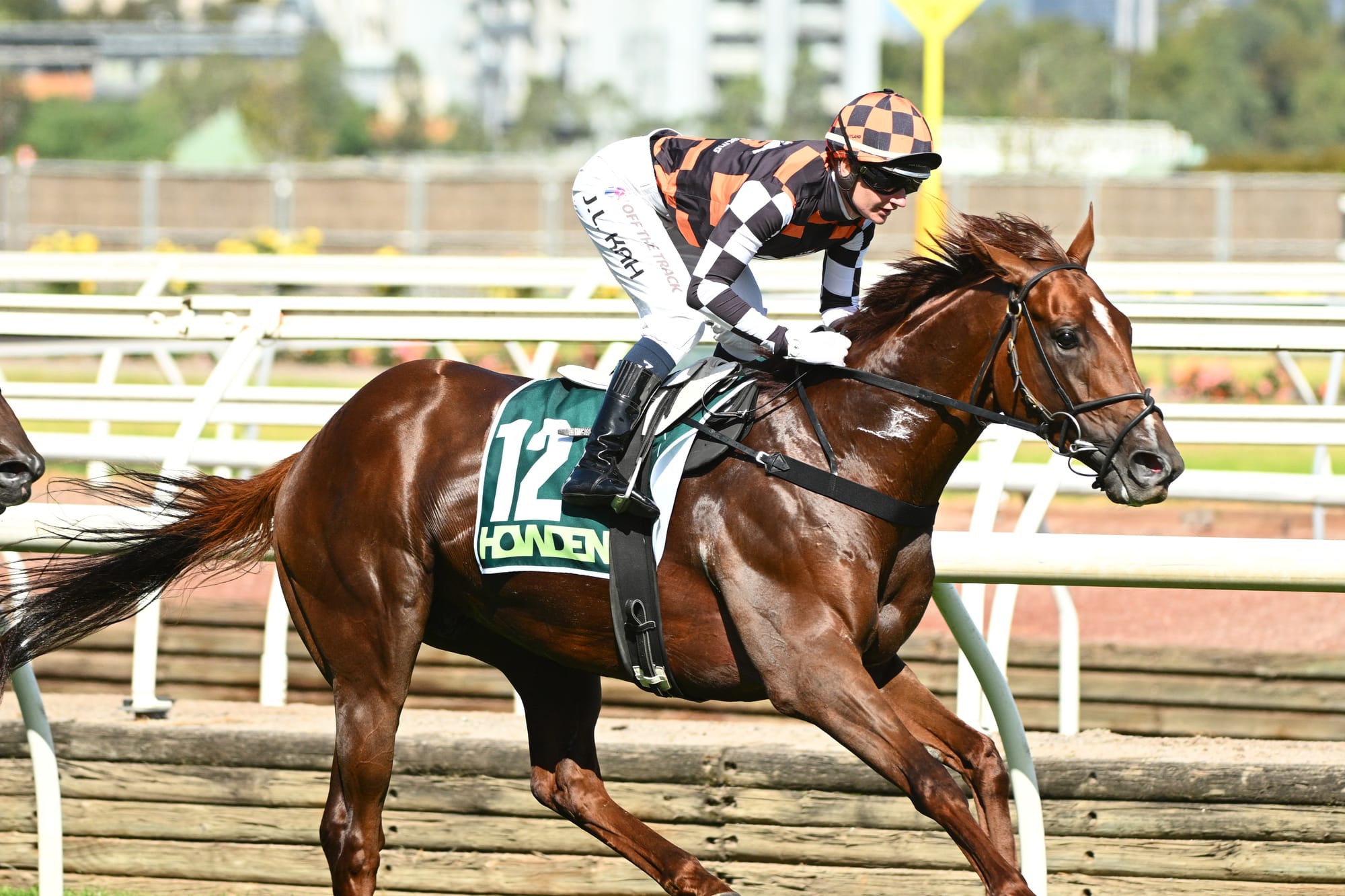 Straight Shorts - Friday February 28 - Southport Tycoon at Widden ...