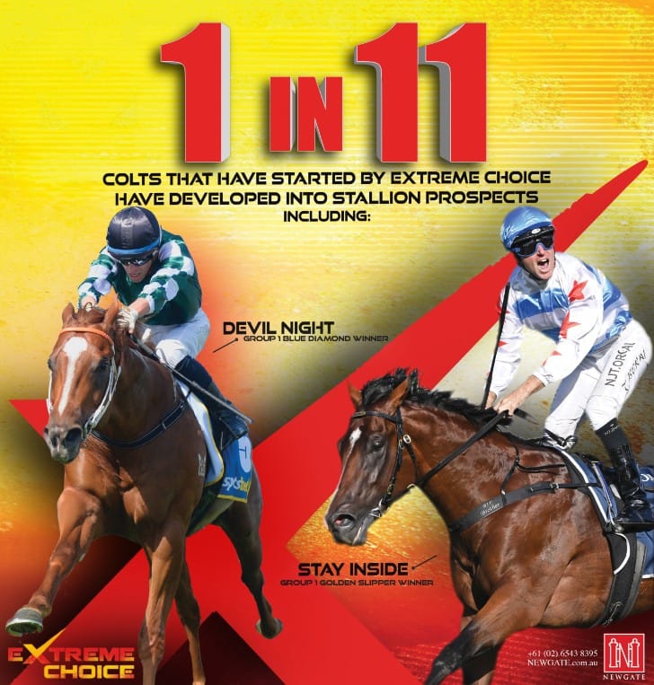 The Straight Daily News - Coleman share fetches $405,000 | Alligator ...