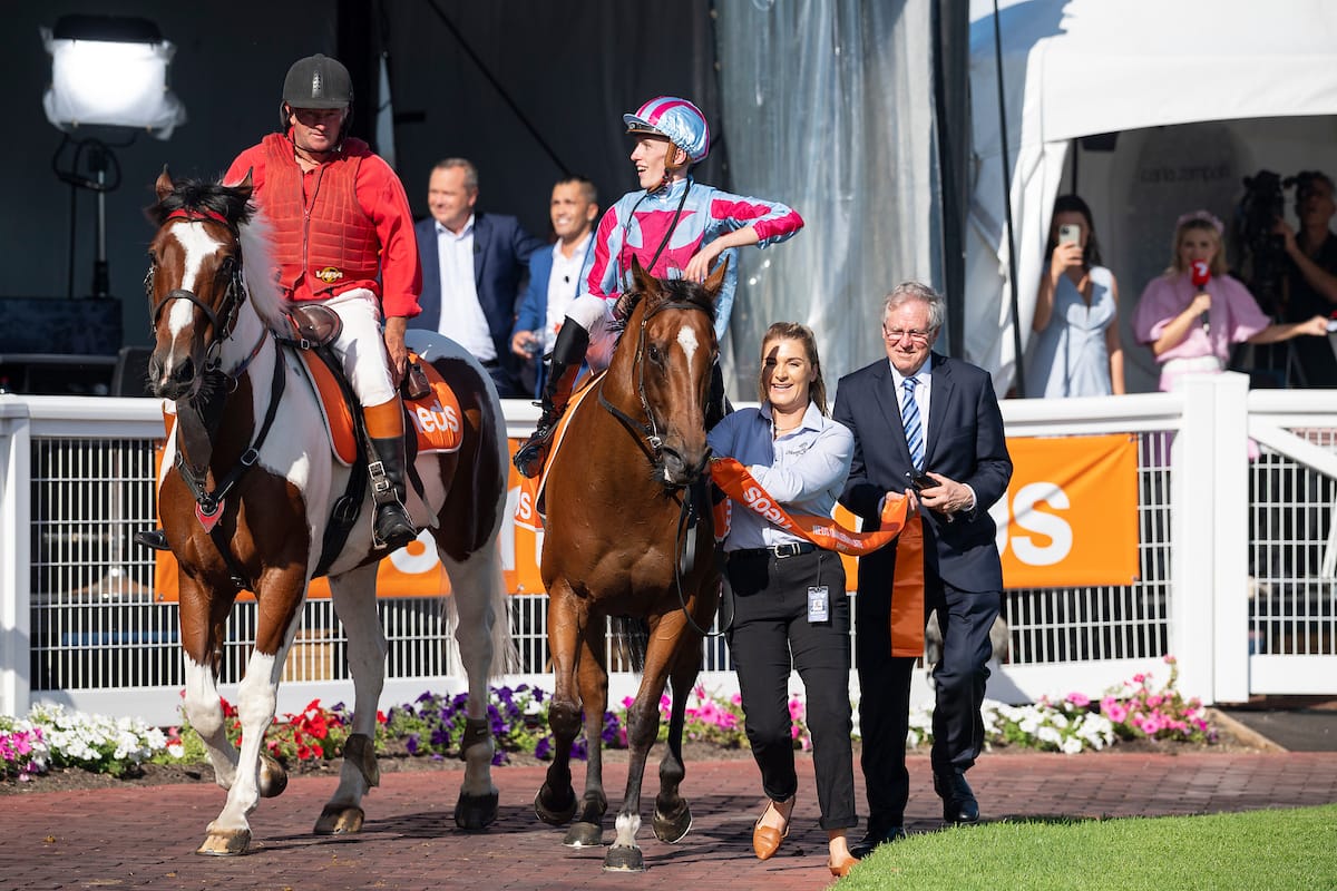 Selling down - former fund manager Perry continues his exit from breeding industry – The Straight