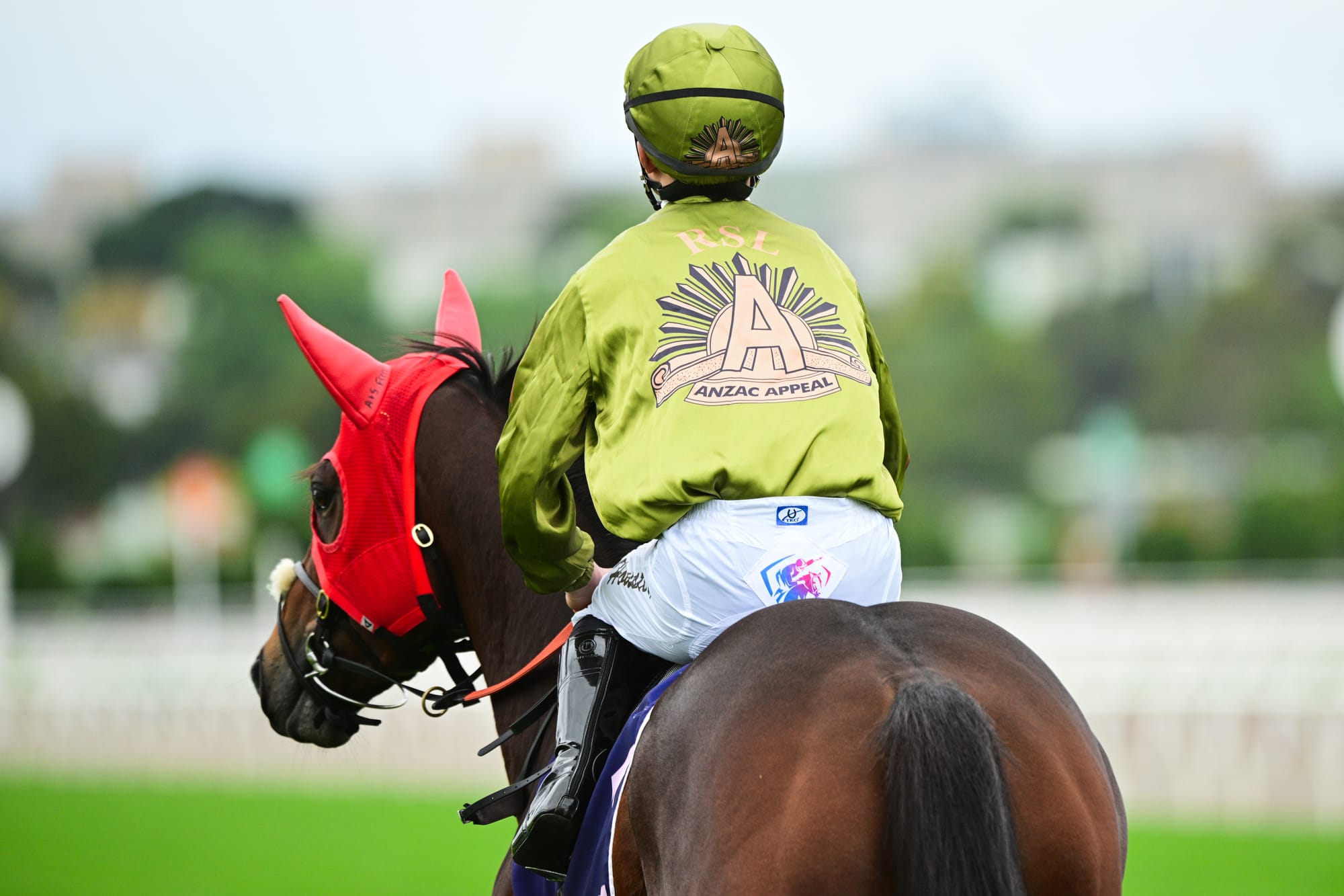 Public liability? - The changing face of holiday racing in Australia ...