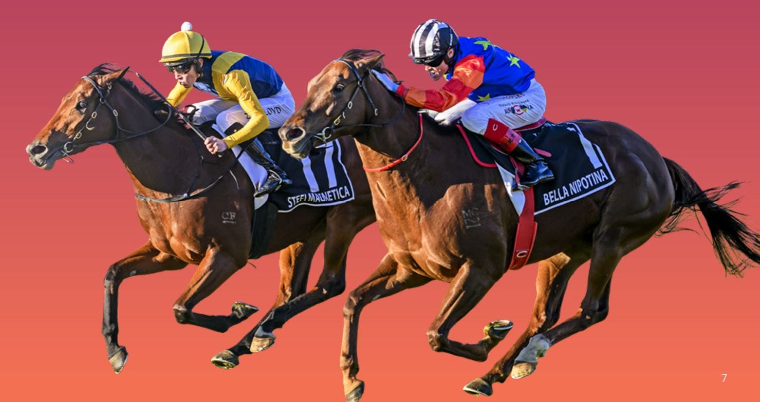 Queensland Racing Carnival takes winter spotlight – The Straight