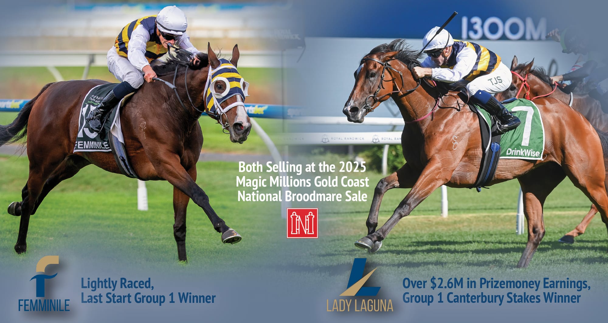 The Straight Daily News - Qld govt confirms review details | Wells new ...