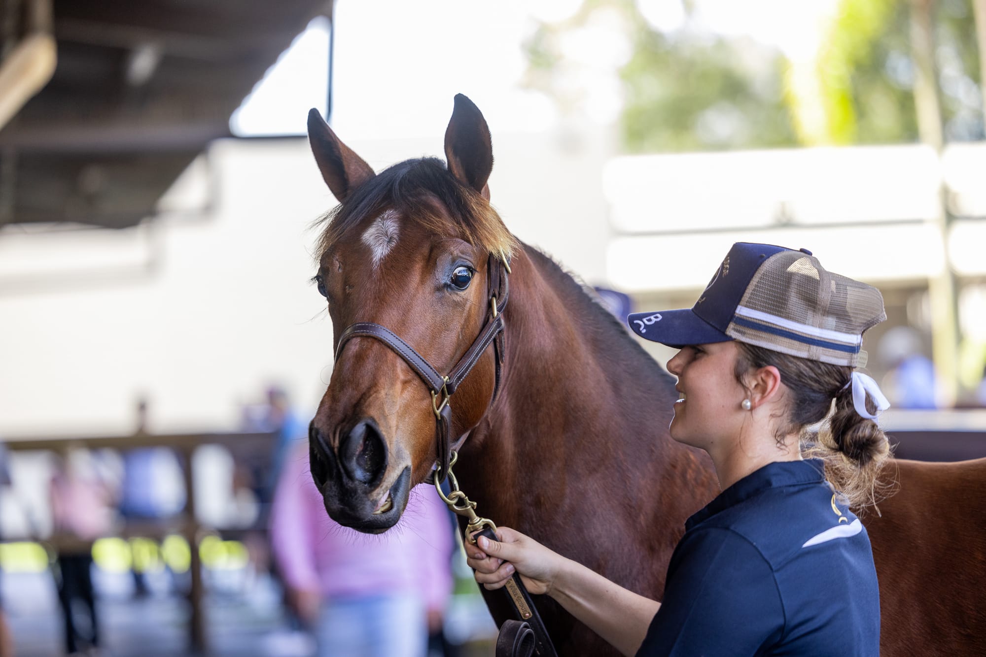 Run The Numbers - The wisdom of buying weanlings – The Straight