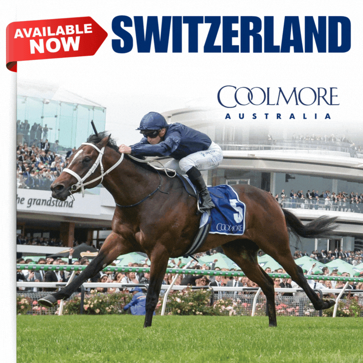 Straight Up - Taxes, politics and Rosehill – The Straight