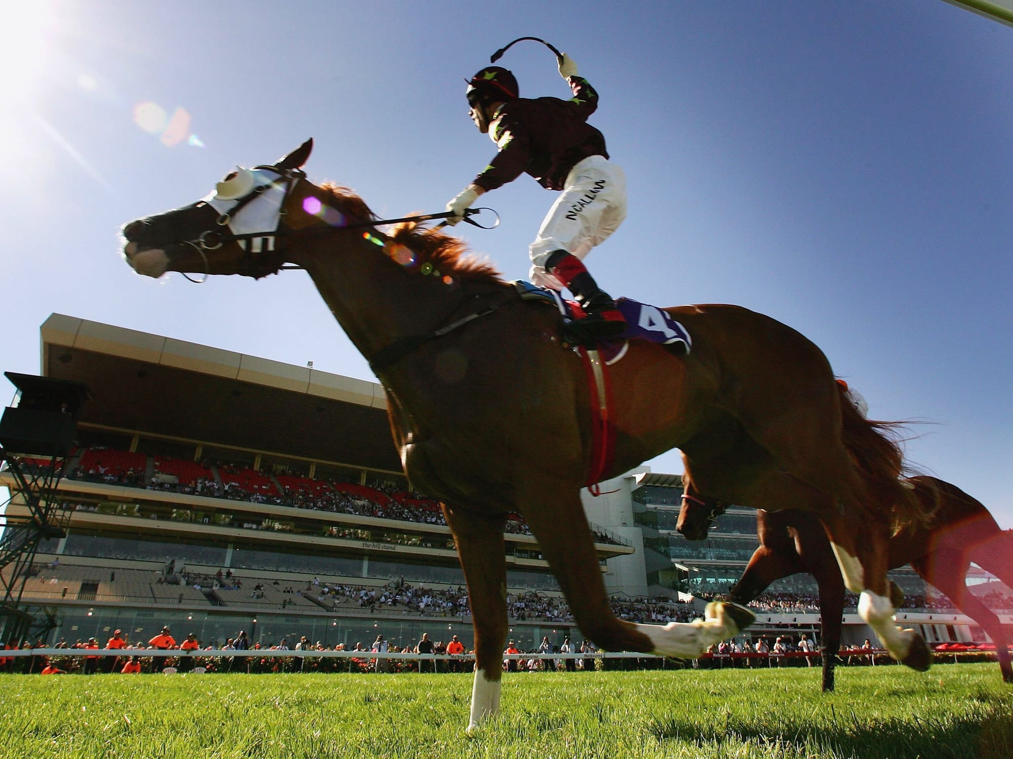 The King and the chaos - Noel Callow on still having a crack – The Straight