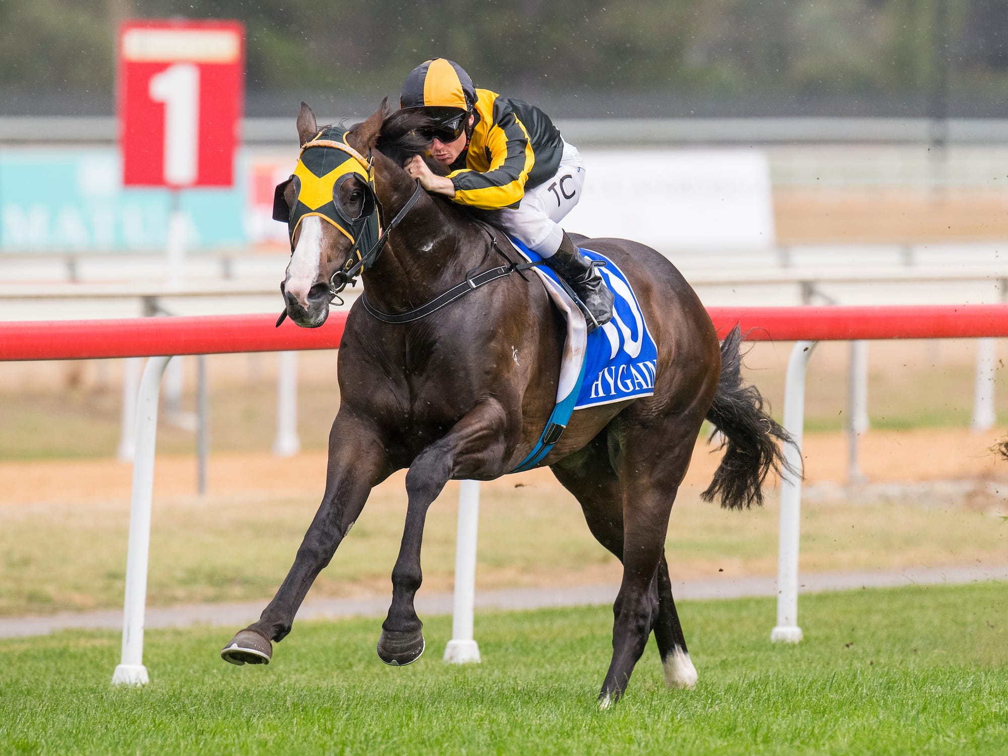 Snitzel’s five of the best – the Arrowfield legend’s elite racetrack ...