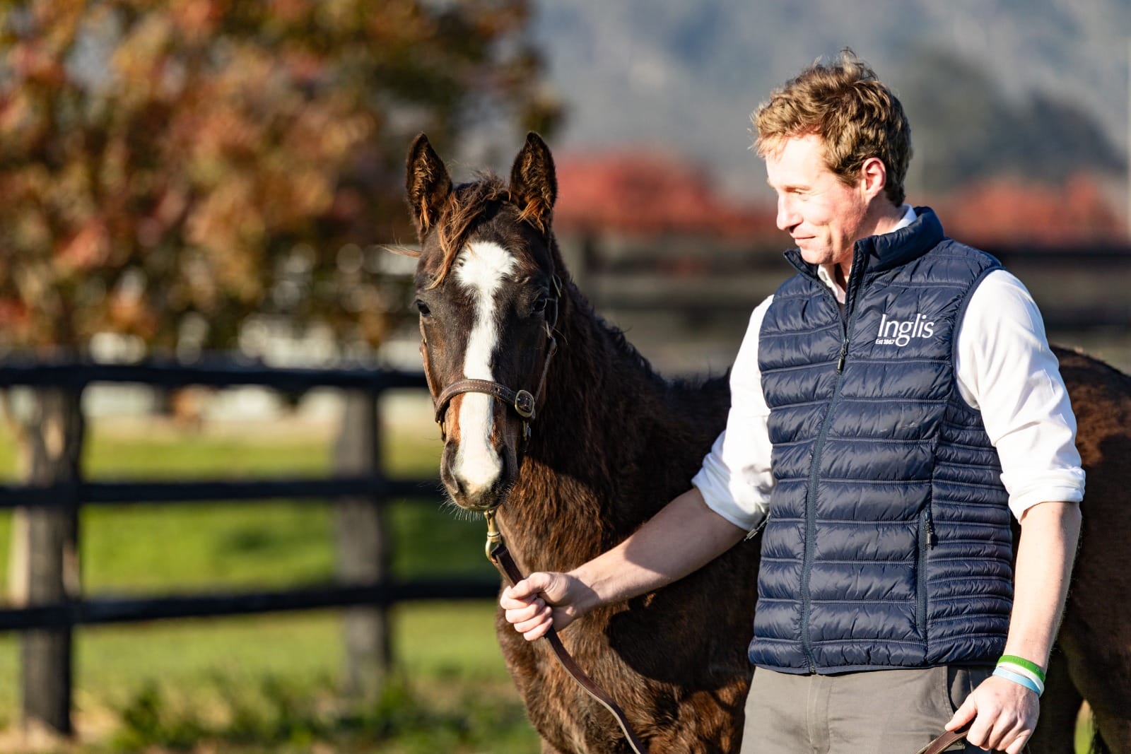 Winx’s Snitzel colt to headline Inglis Easter 2026 – The Straight