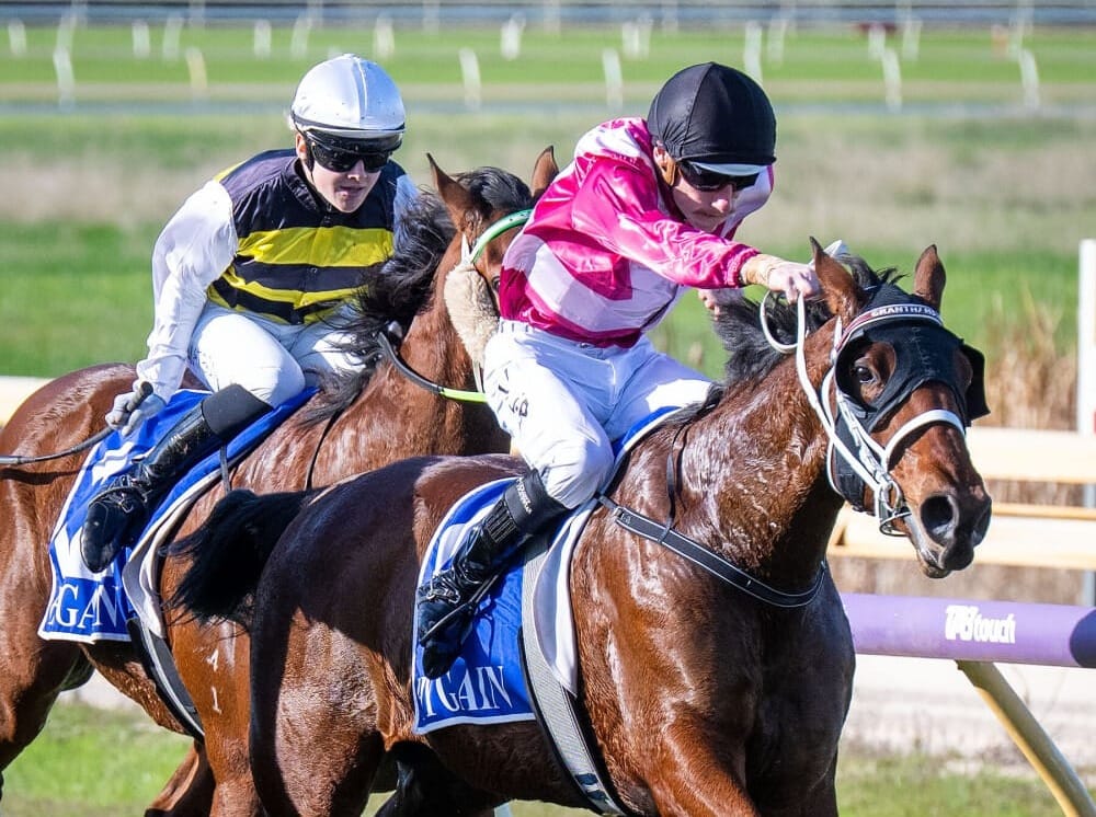 New blood, old formula for Peters’ next generation – The Straight