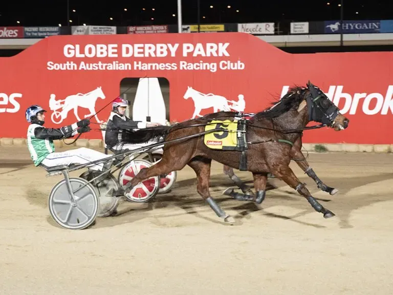 Fee reprieve - SA regulator backflips on bookie admin charge – The Straight