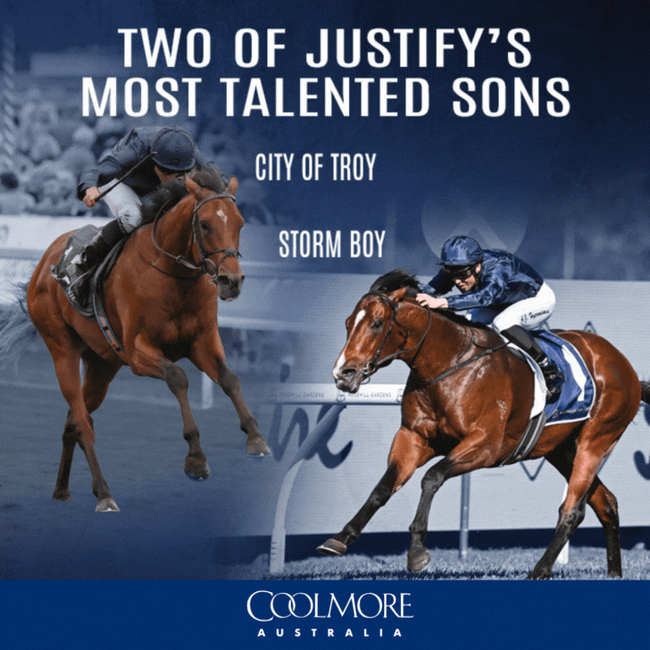 Sherrin steps in for Siyouni filly at Arqana – The Straight