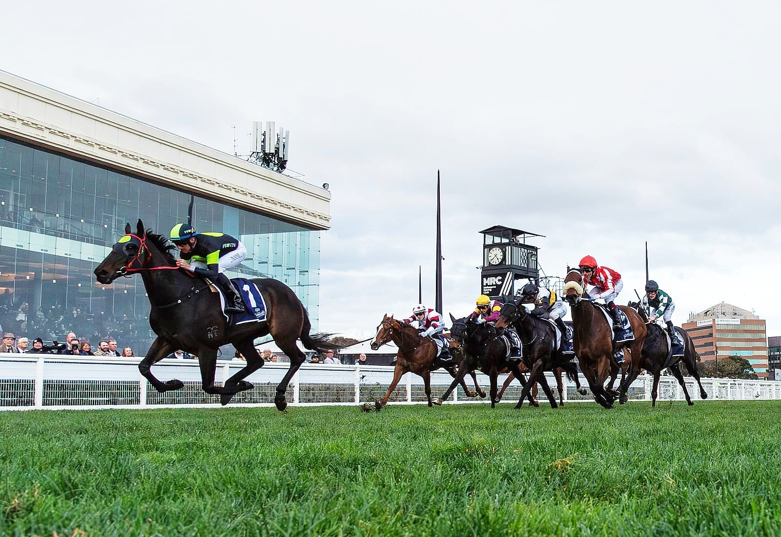 Seven days in … breeding and bloodstock - European mare imports slide ...