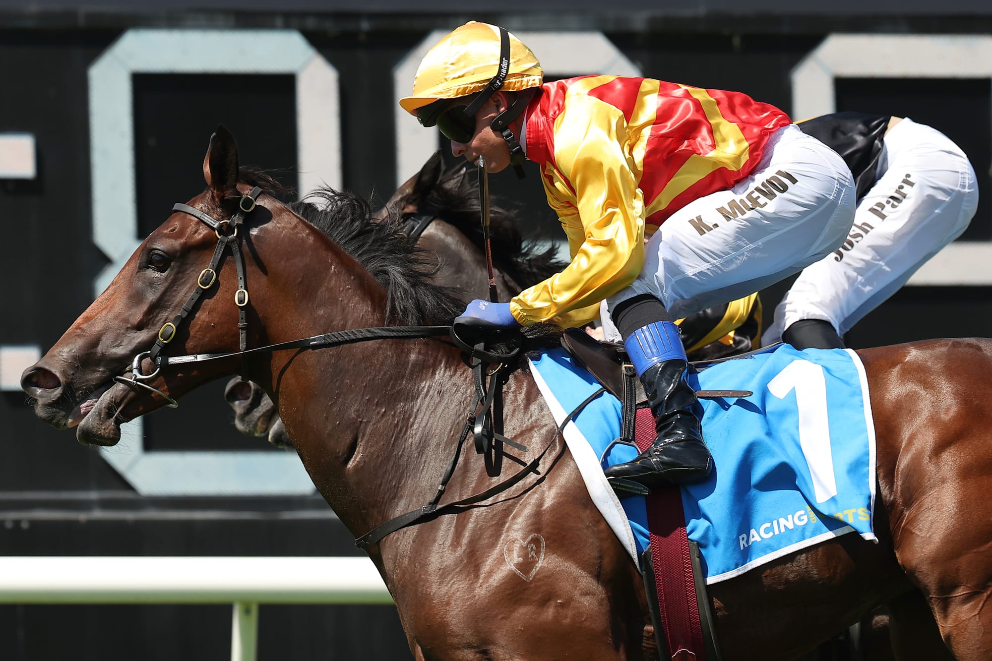 Seven days in … racing - Plates and Patterns – The Straight