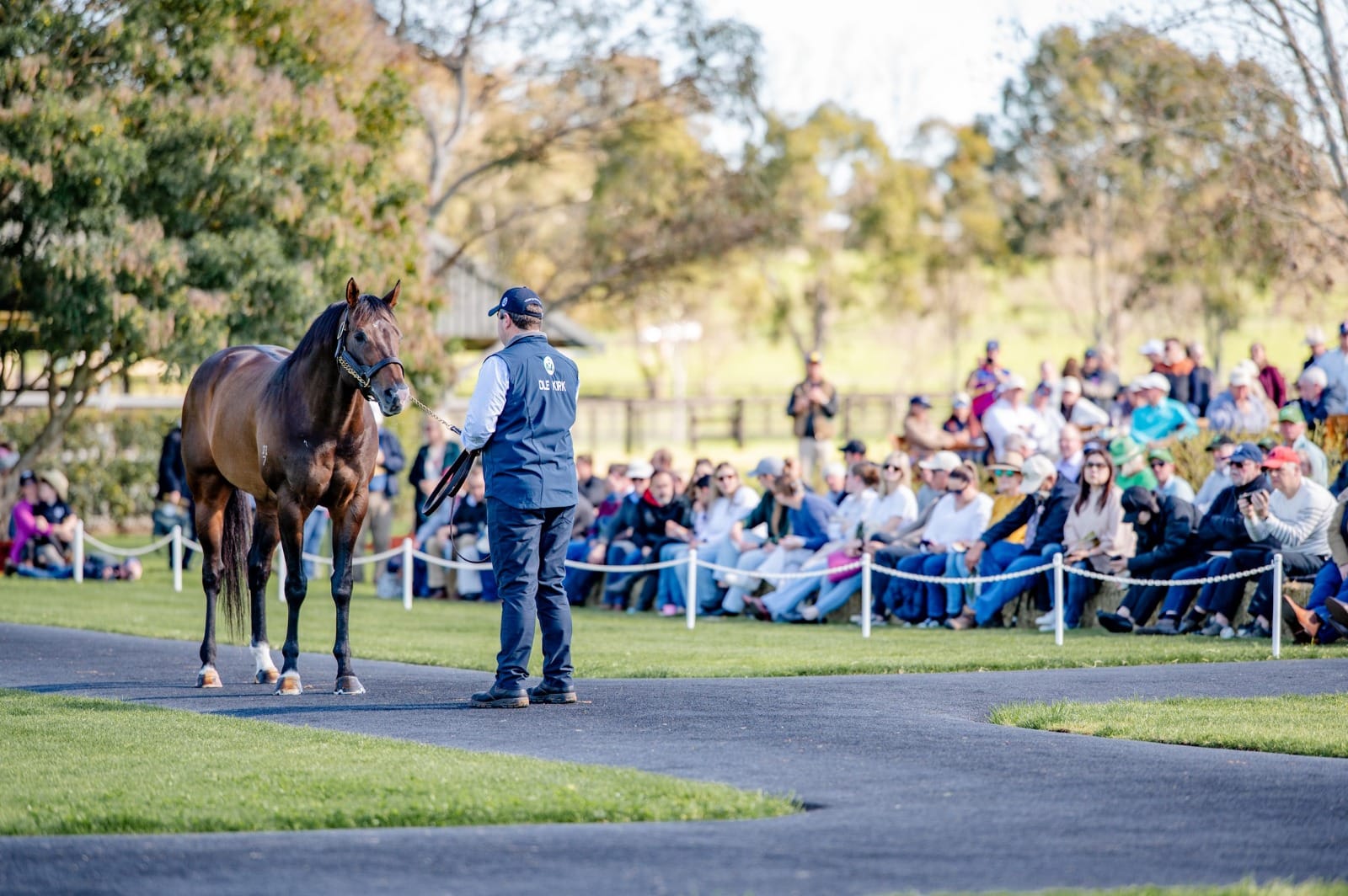 Gilgai Farm mourning the loss of Black Caviar’s sister and influential ...