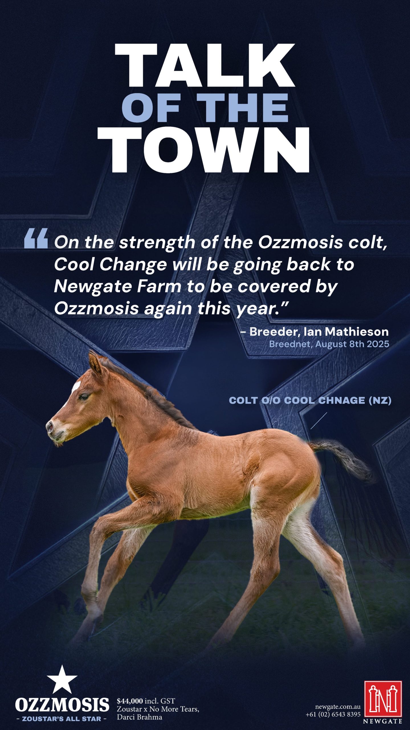 The Straight Daily News - Naturale blow for Gilgai | No racing for King ...