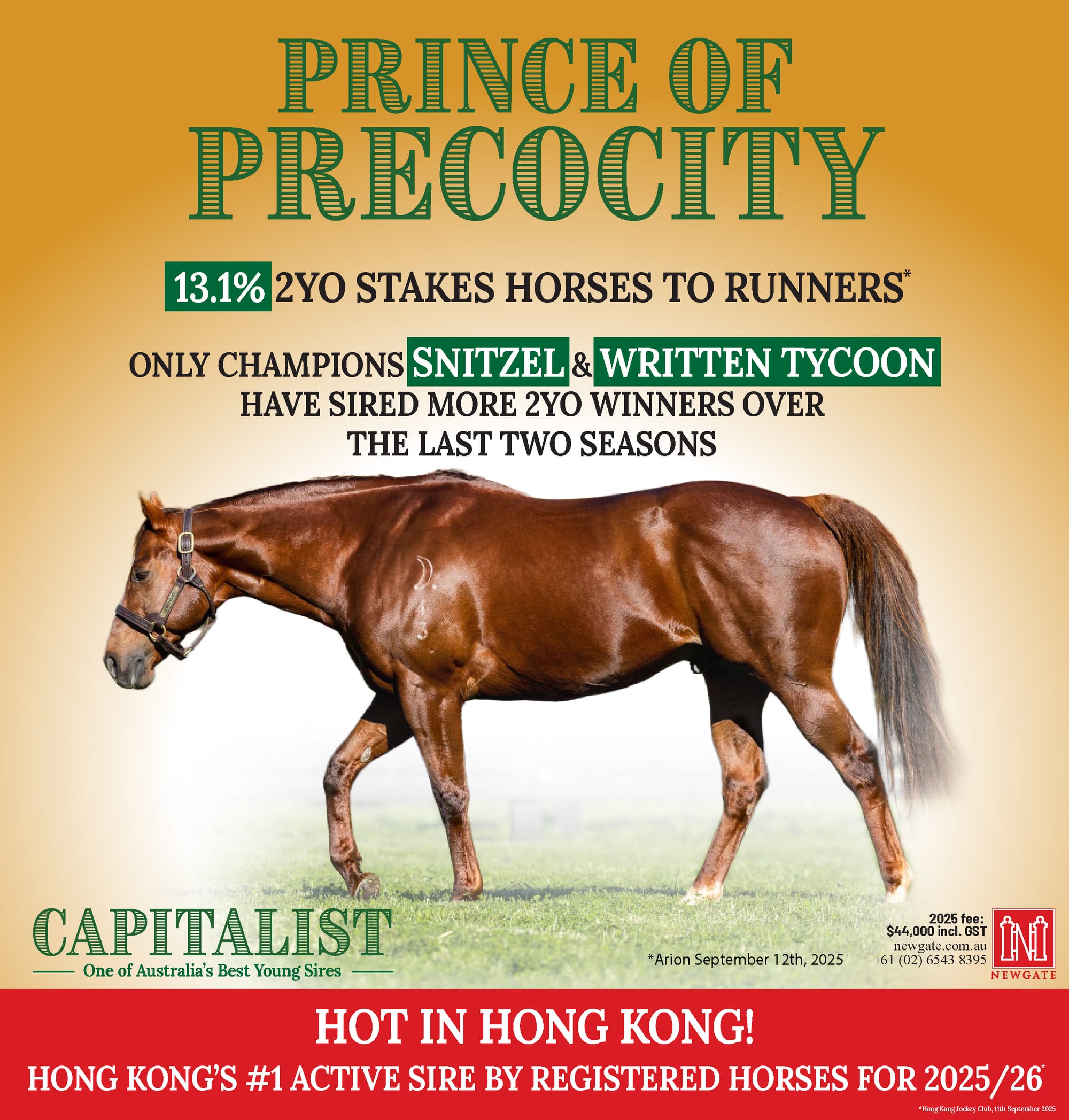 The Straight Daily News - Gold Coast moves past turf troubles | ATA's ...