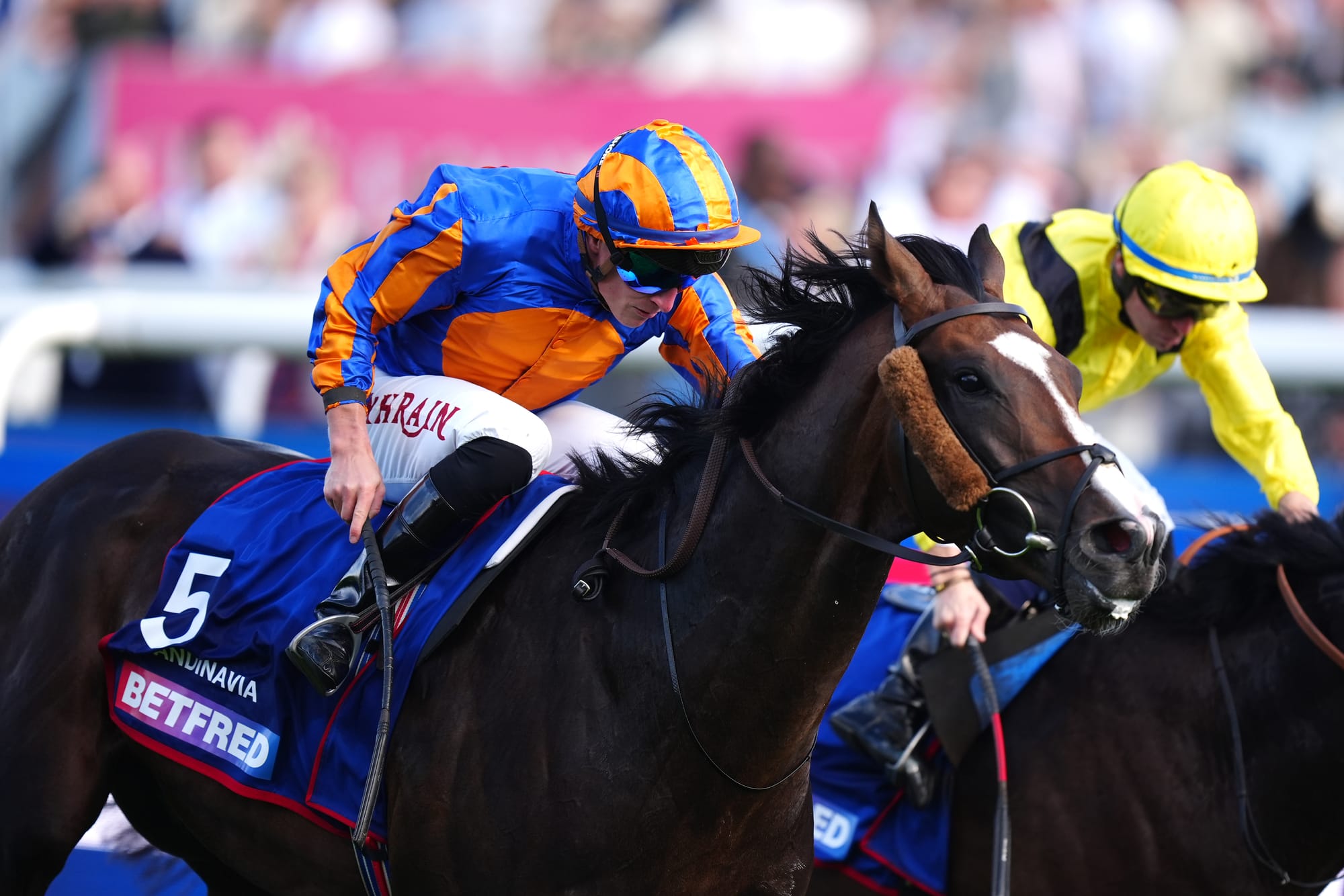 Scandinavia to miss Melbourne Cup as O’Brien puts St Leger winner aside ...