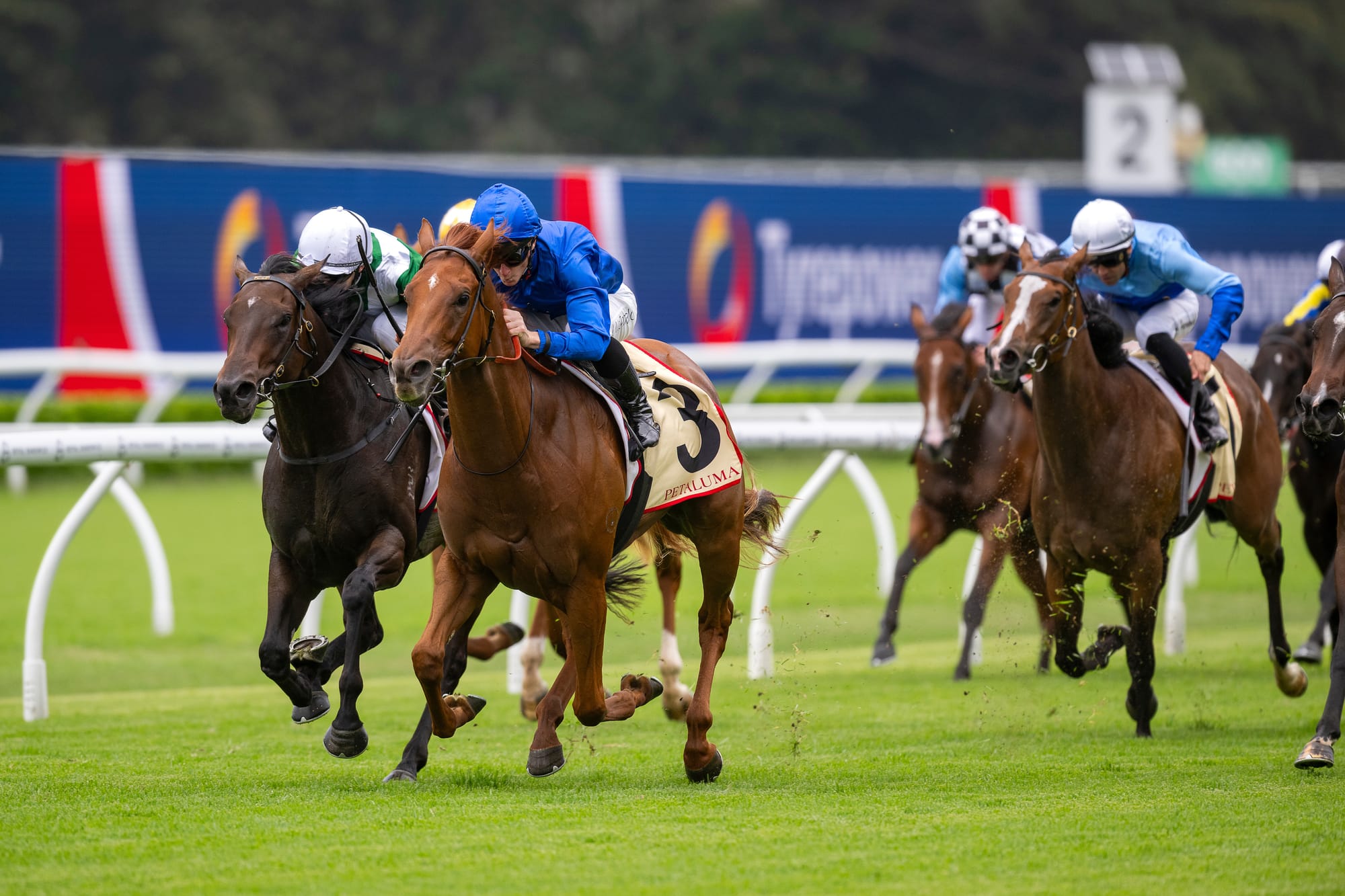Godolphin Tempted as filly wins Everest nod – The Straight