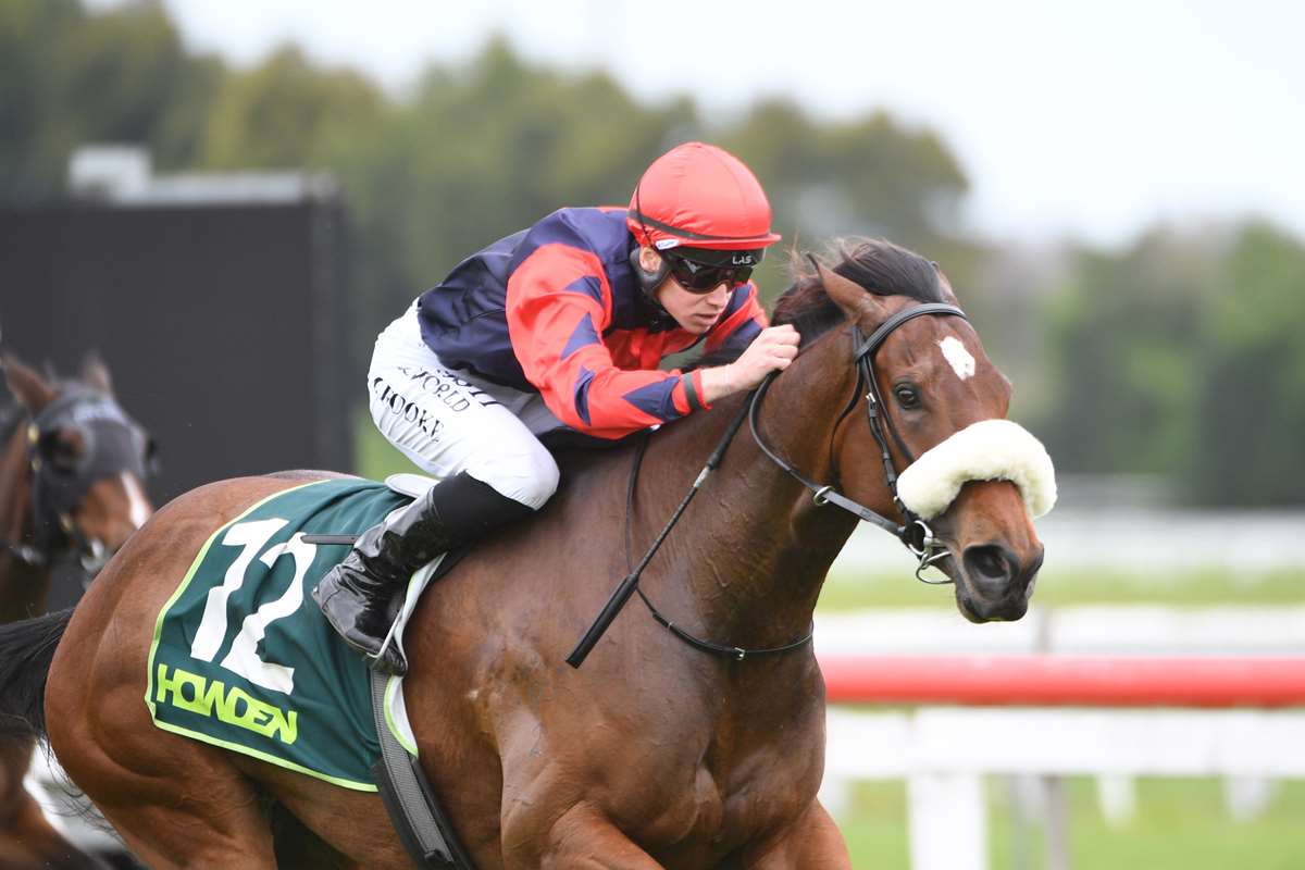 Entain shutters TAB Racing Club as CEO focuses on selling bets – The ...