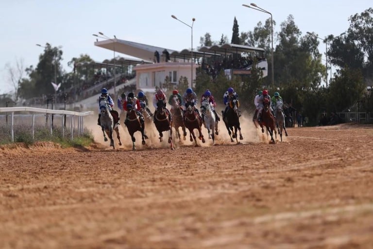 Written In The Stars - How a doctor and a Golden Slipper winner are ...