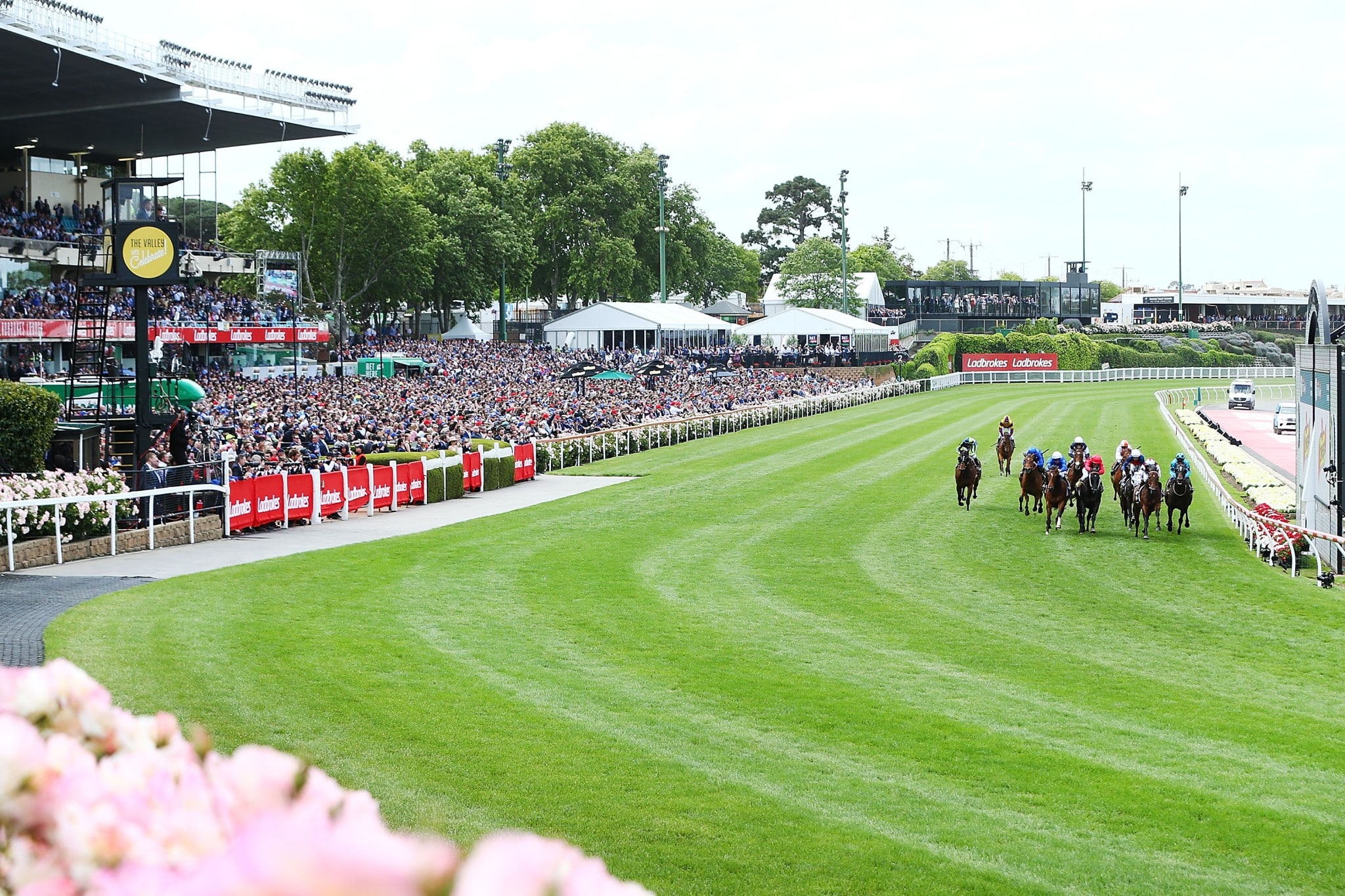 Cox Plate scare: Moonee Valley track damage leads to emergency repairs ...