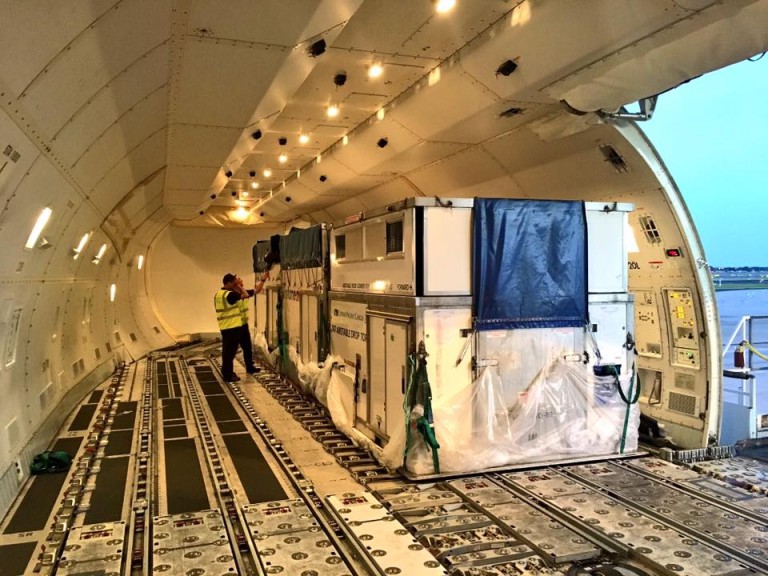 Australian investment firm buys into equine airfreight company IRT ...