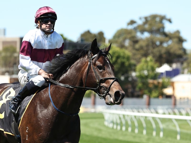 A flamboyant race caller in his time' - Tributes for ex-commentator ...