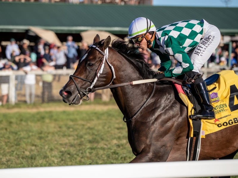 Ridgmont’s strategic shift - Cunninghams to sell farm but maintain ...