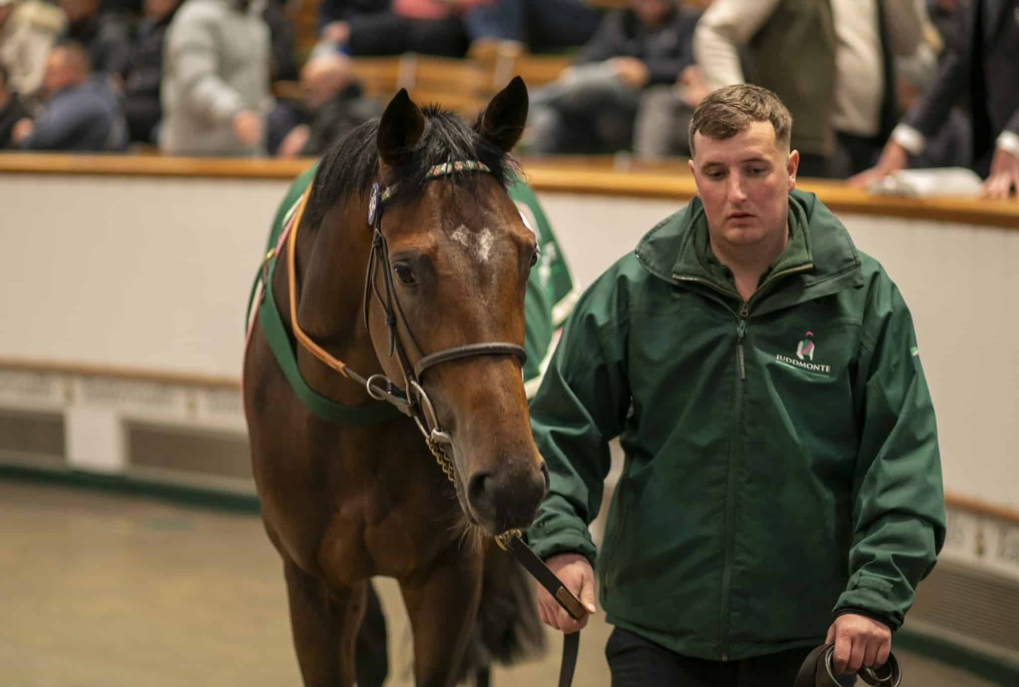 Matt Laurie the latest Aussie to get on the board at Tatts – The Straight