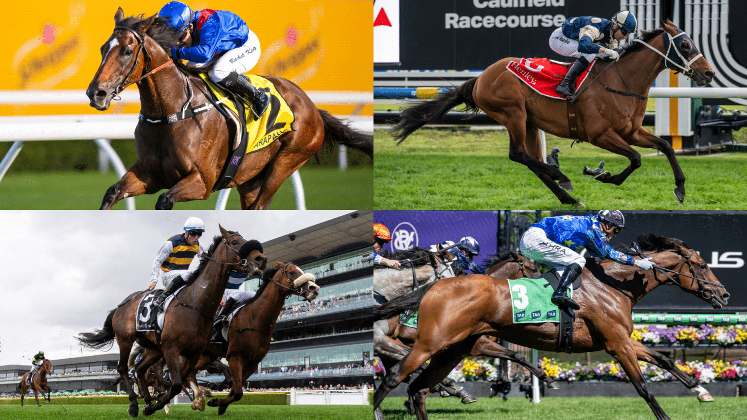 Run The Numbers – Brothers in arms – A pair of Cup siblings – The Straight