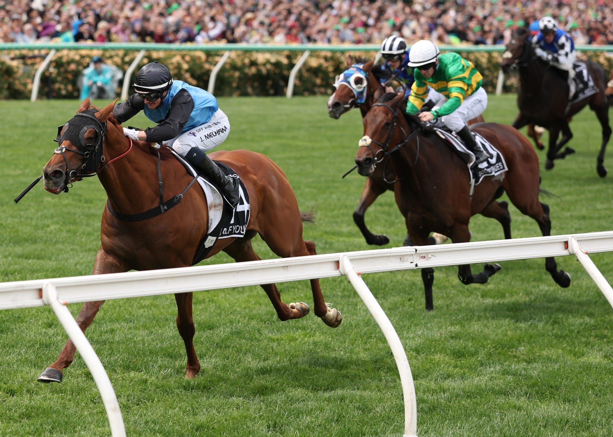 Half Yours wins the 2025 Melbourne Cup for Jamie Melham, McEvoys – The ...