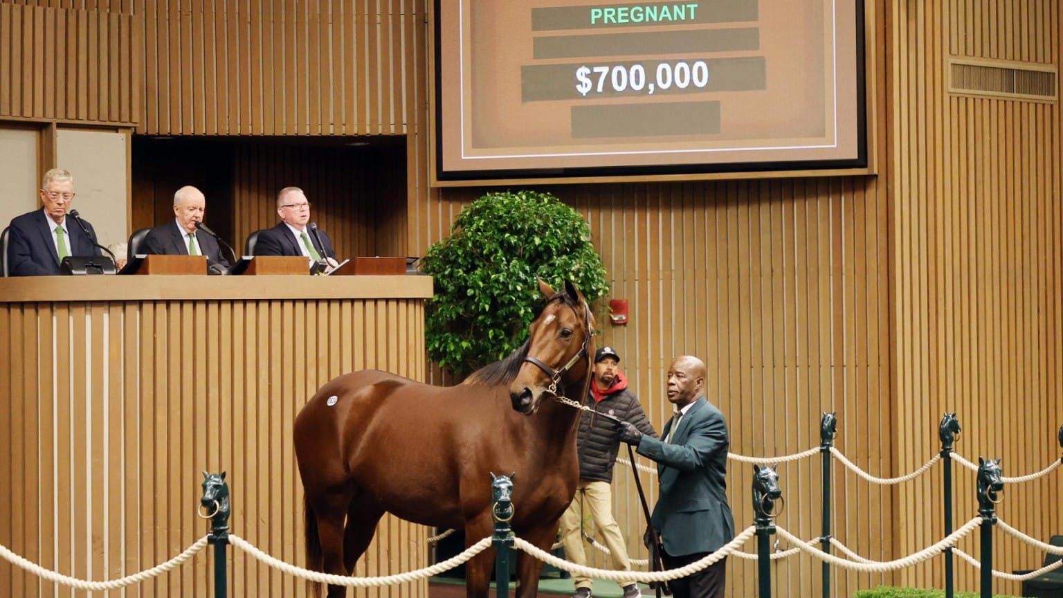 Aussie buyers on the board as strong Keeneland trading rolls on – The ...