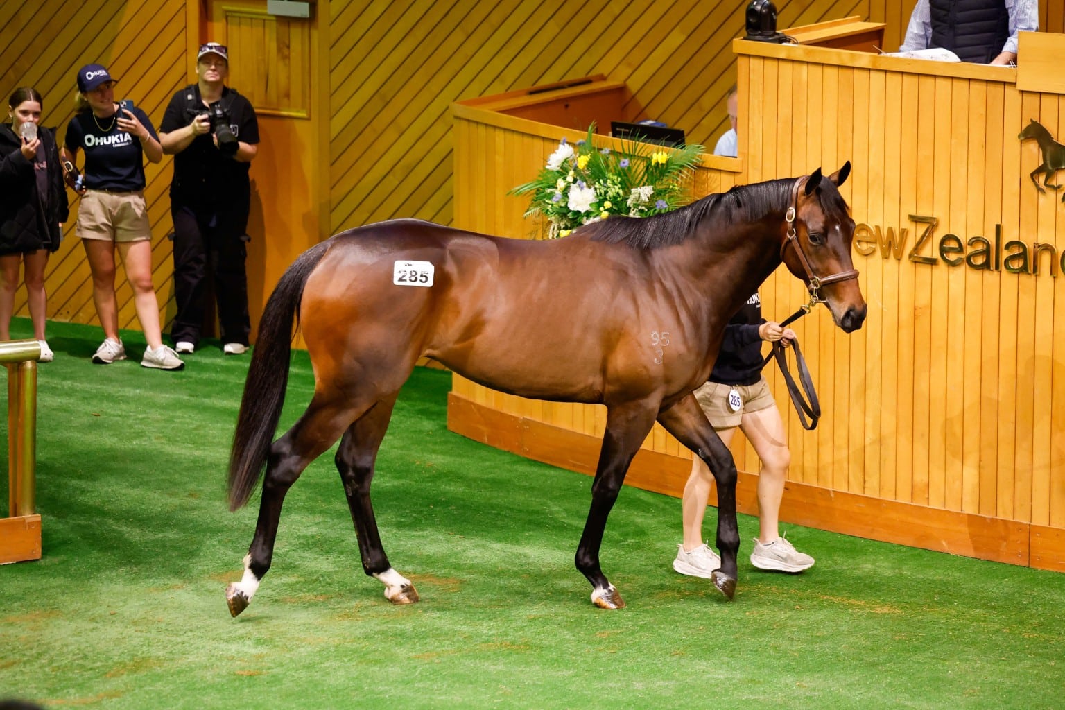 Ultra impressive - Sean Buckley shapes up for first-crop Armory colt at ...