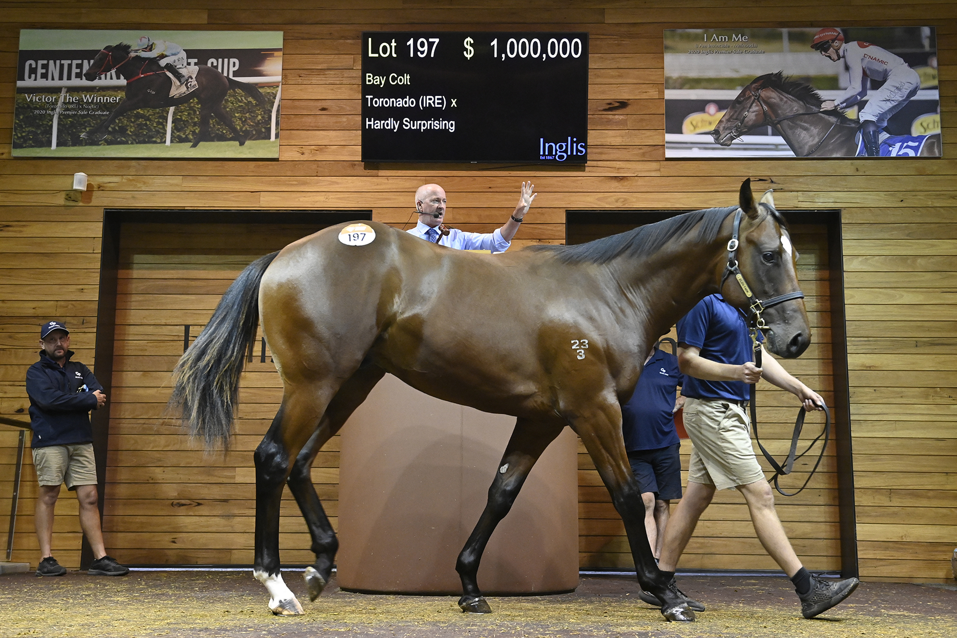 Inglis hails Victorian quality as it launches 2026 Premier Sale ...